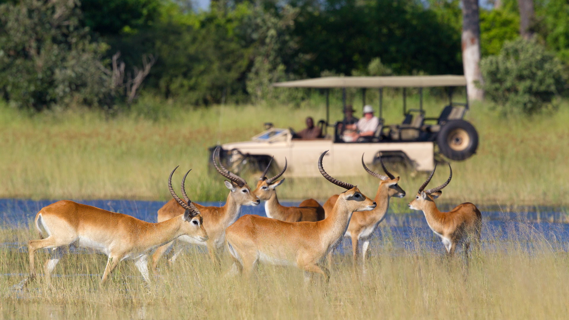 Okavango – ATR