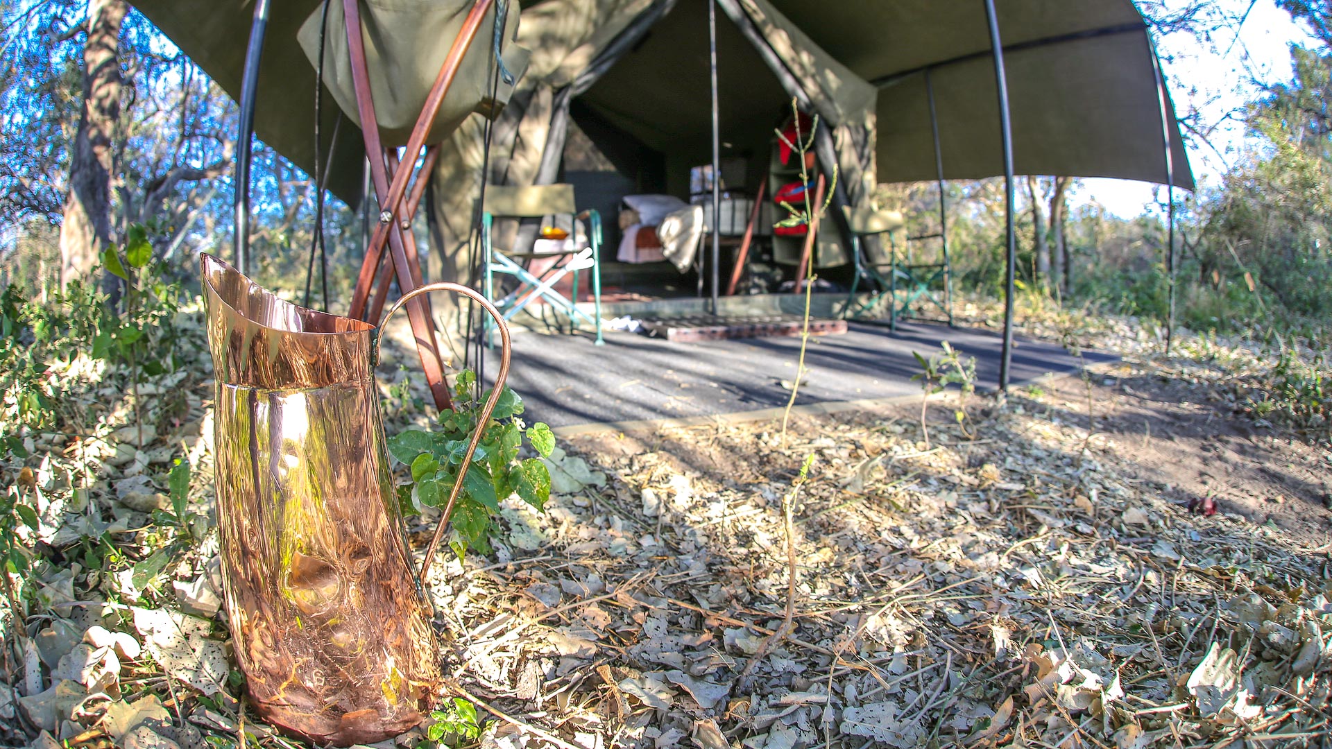 Fallen Baobab Camp - ATR