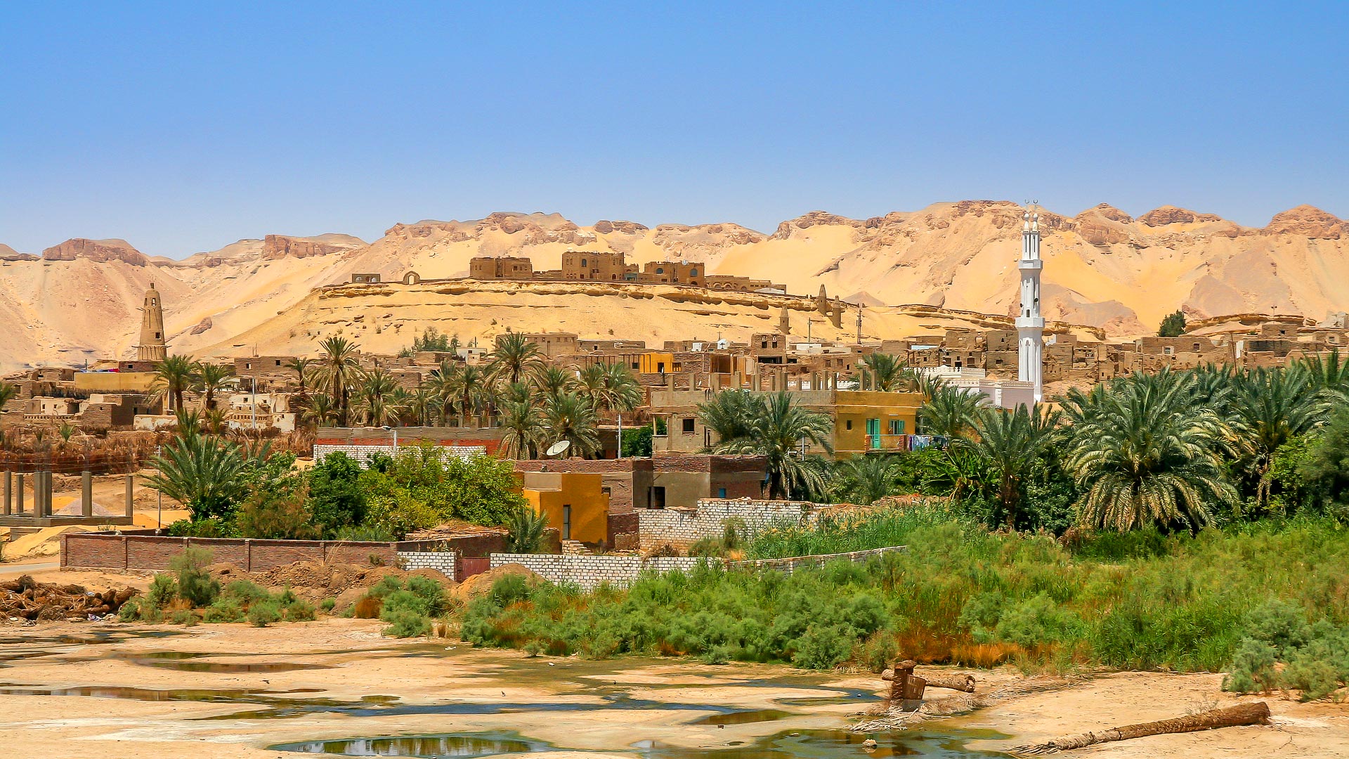 Al Tarfa Sanctuary Lodge – ATR