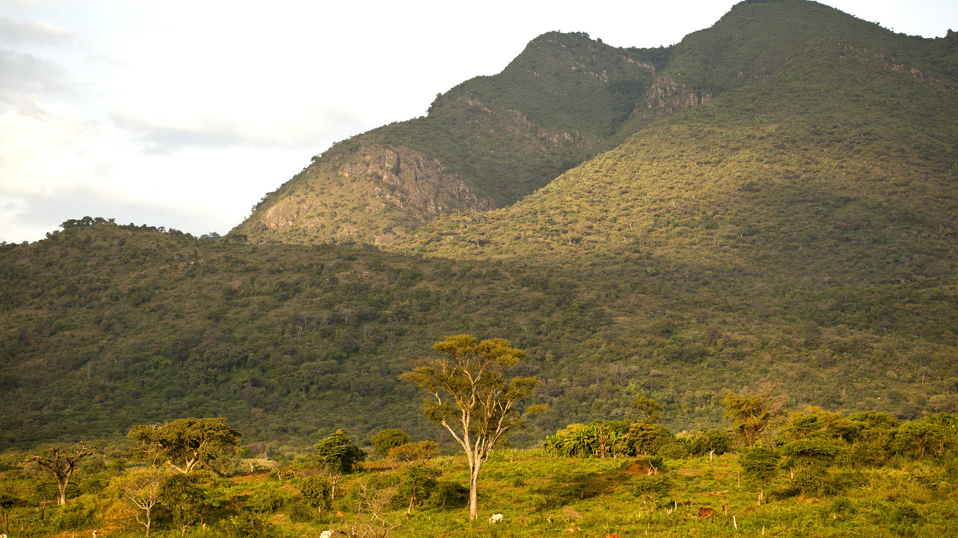 Wabe Shebelle Bivouac – ATR