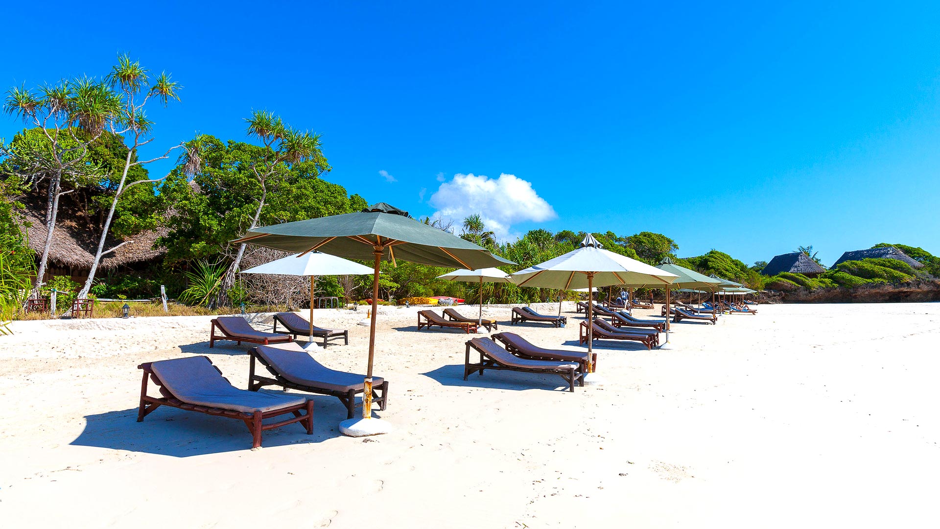 Chale Island Resort – ATR