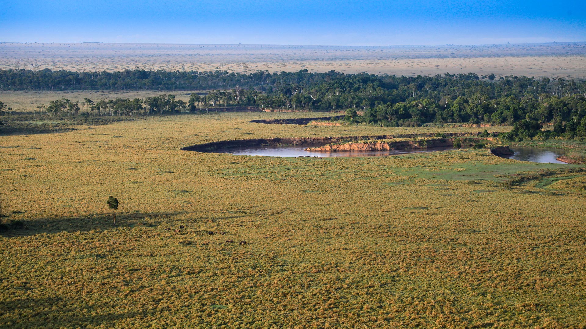 Ashnil Mara Camp - ATR