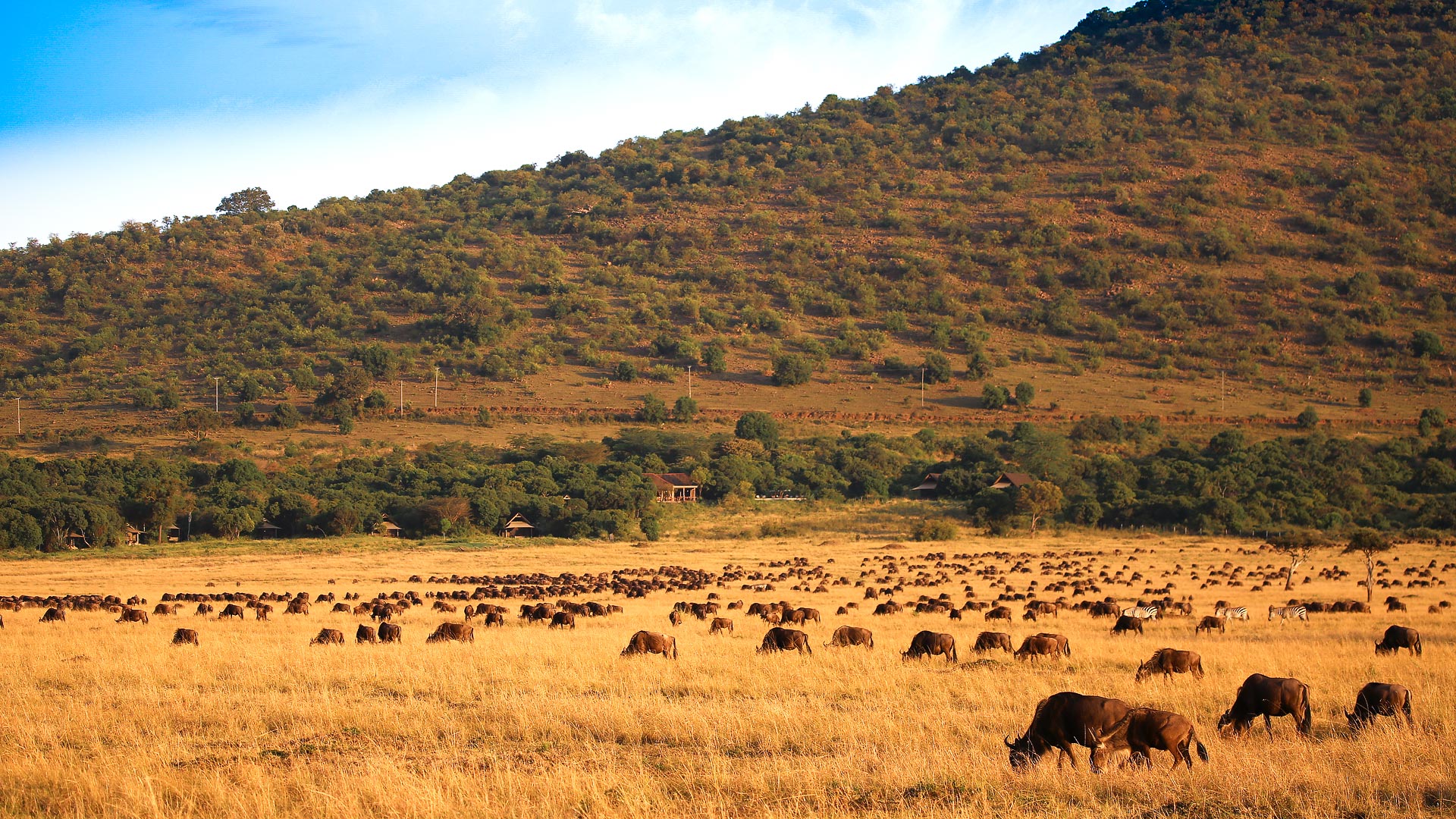 Bateleur Camp - ATR