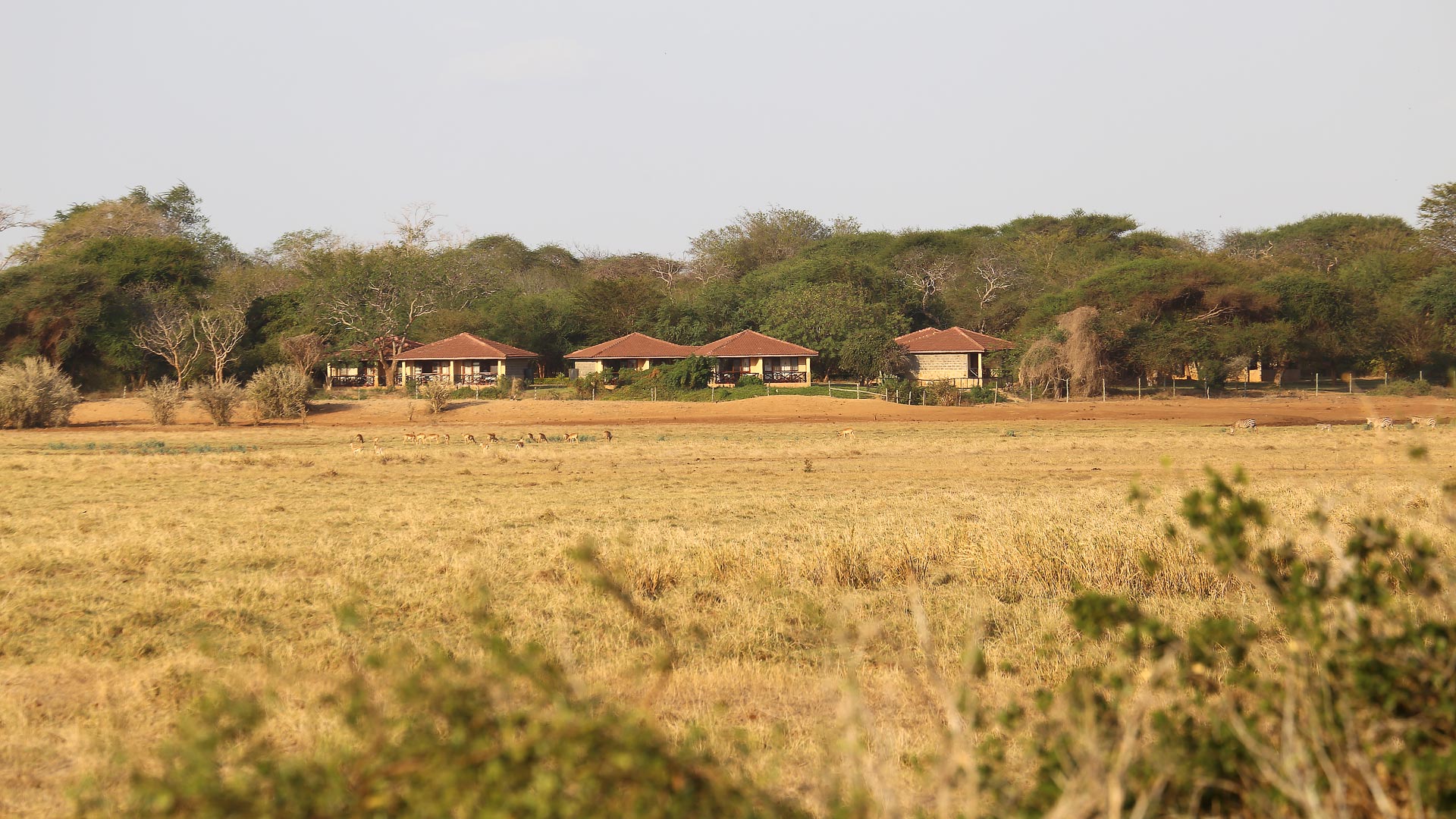 Ashnil Aruba Lodge - ATR