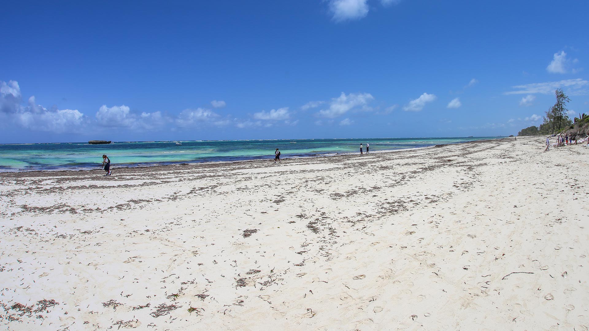 Turtle Bay Beach – ATR