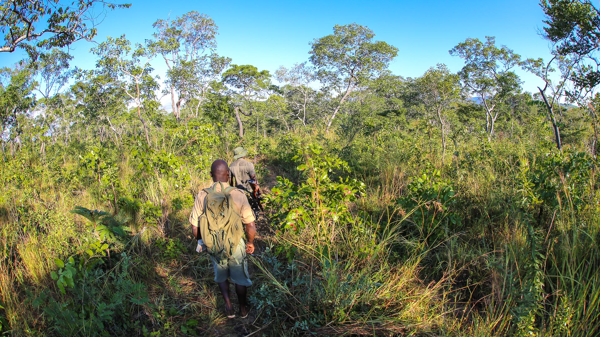 Bua River Lodge – ATR