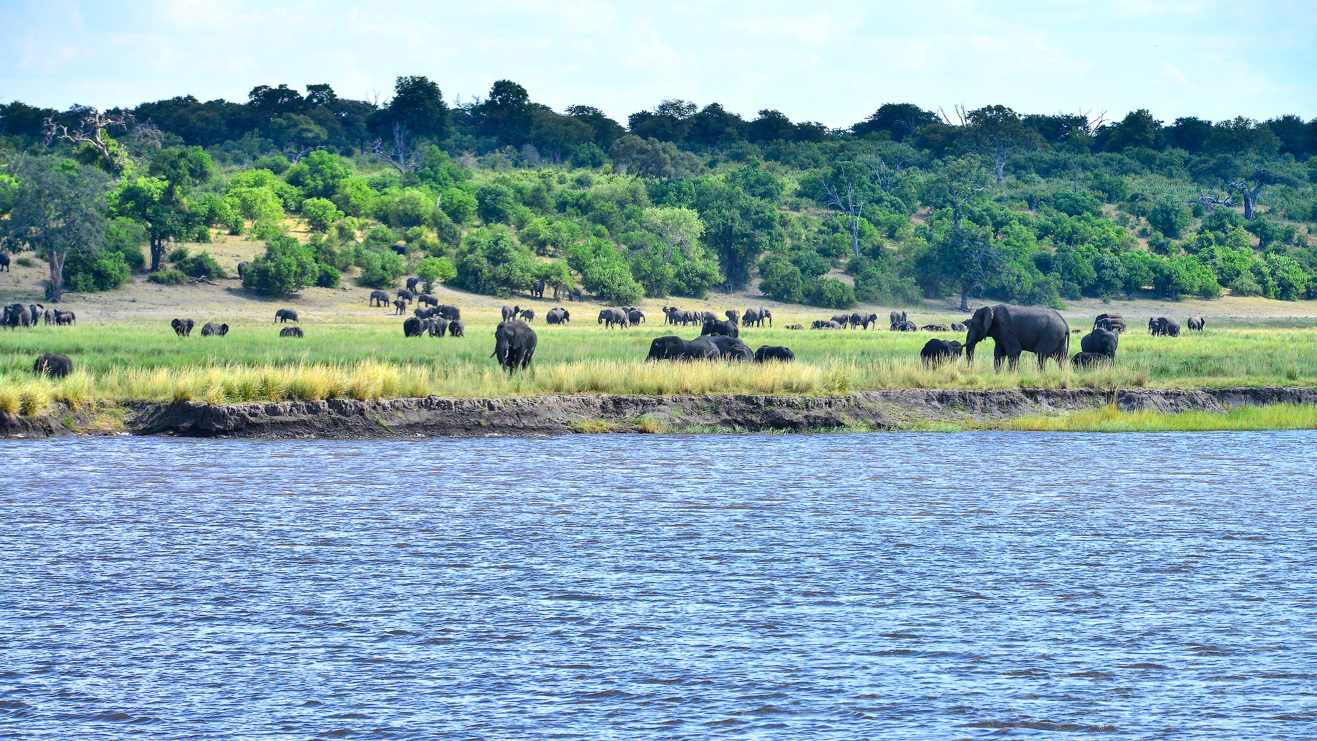 Caprivi Eastern Tip – ATR