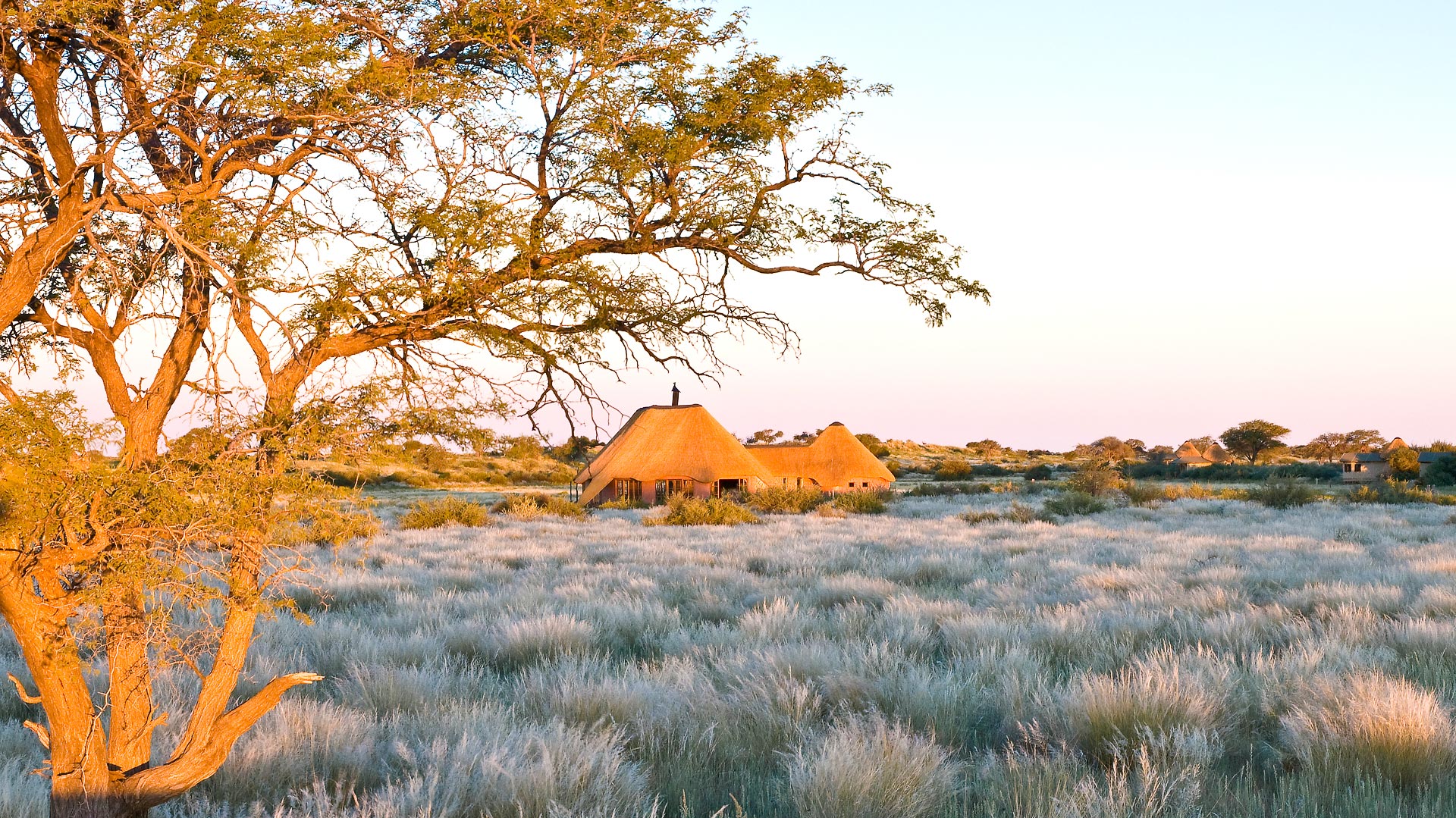 Kalahari Red Dunes - ATR