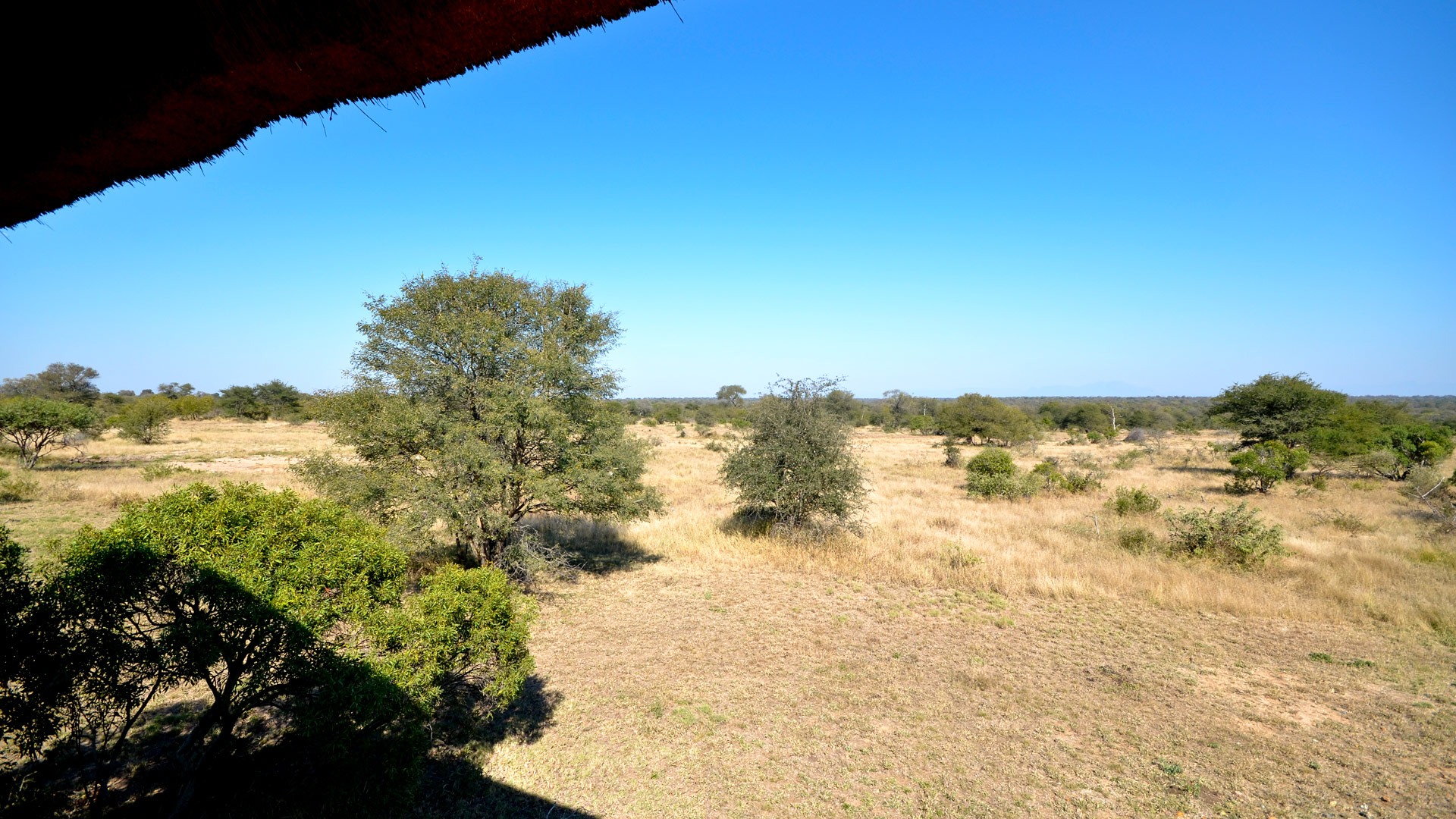 nThambo Tree Camp - ATR