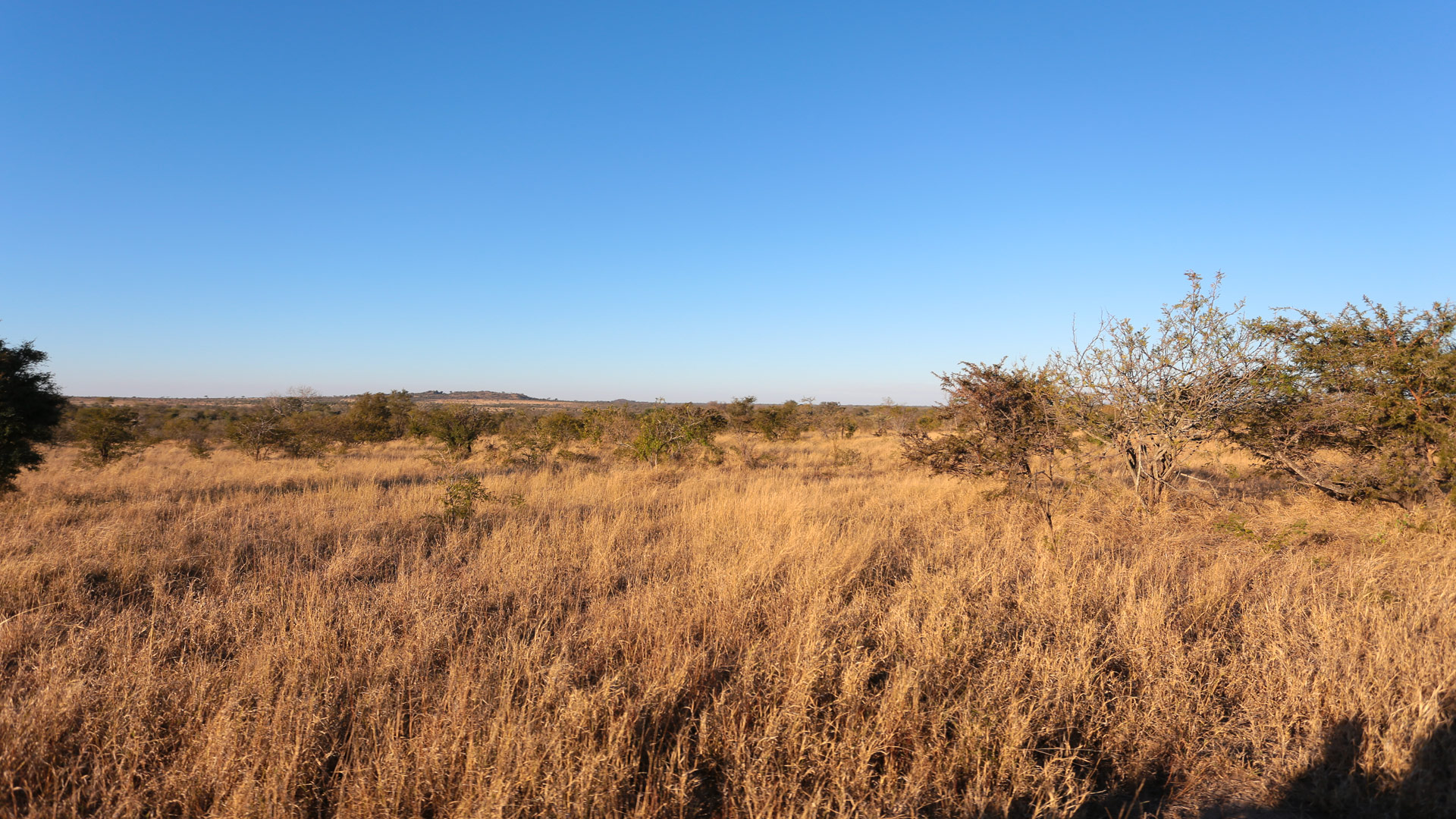 Travel to Manyeleti Reserve - ATR