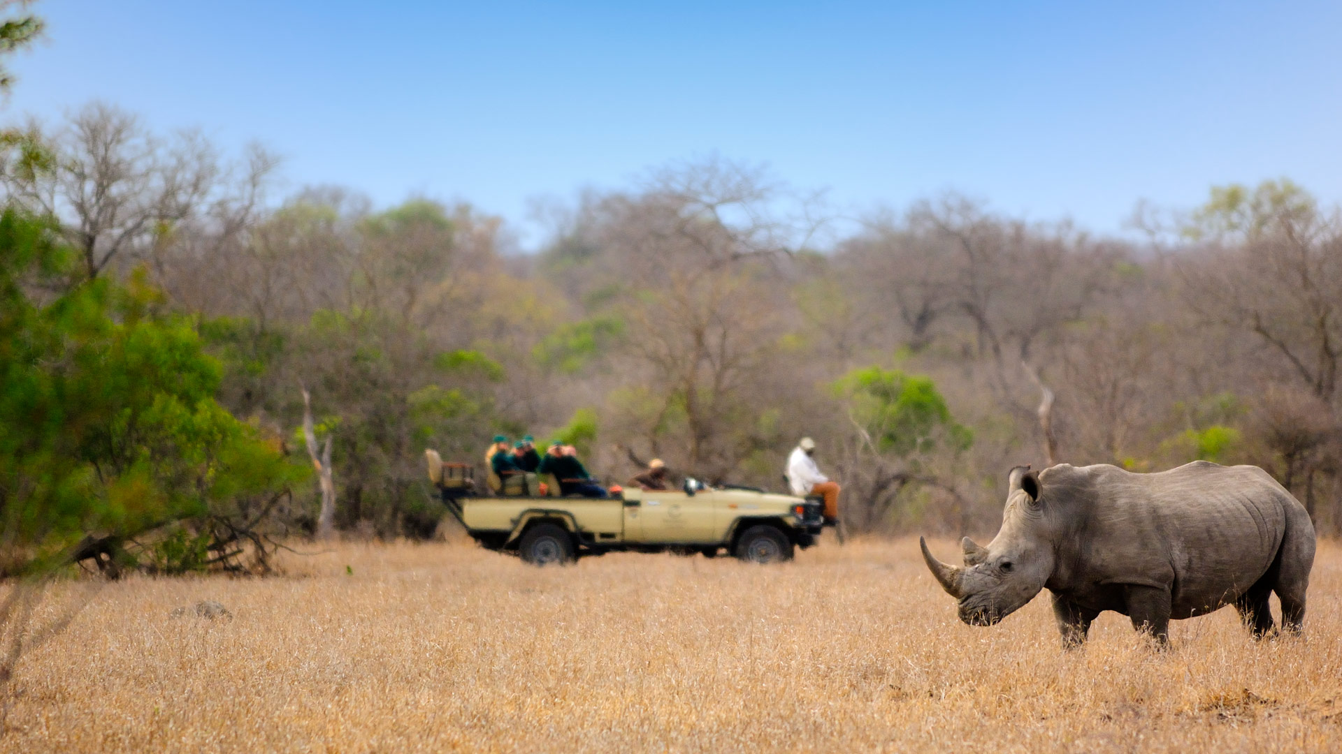 Travel to Manyeleti Reserve - ATR