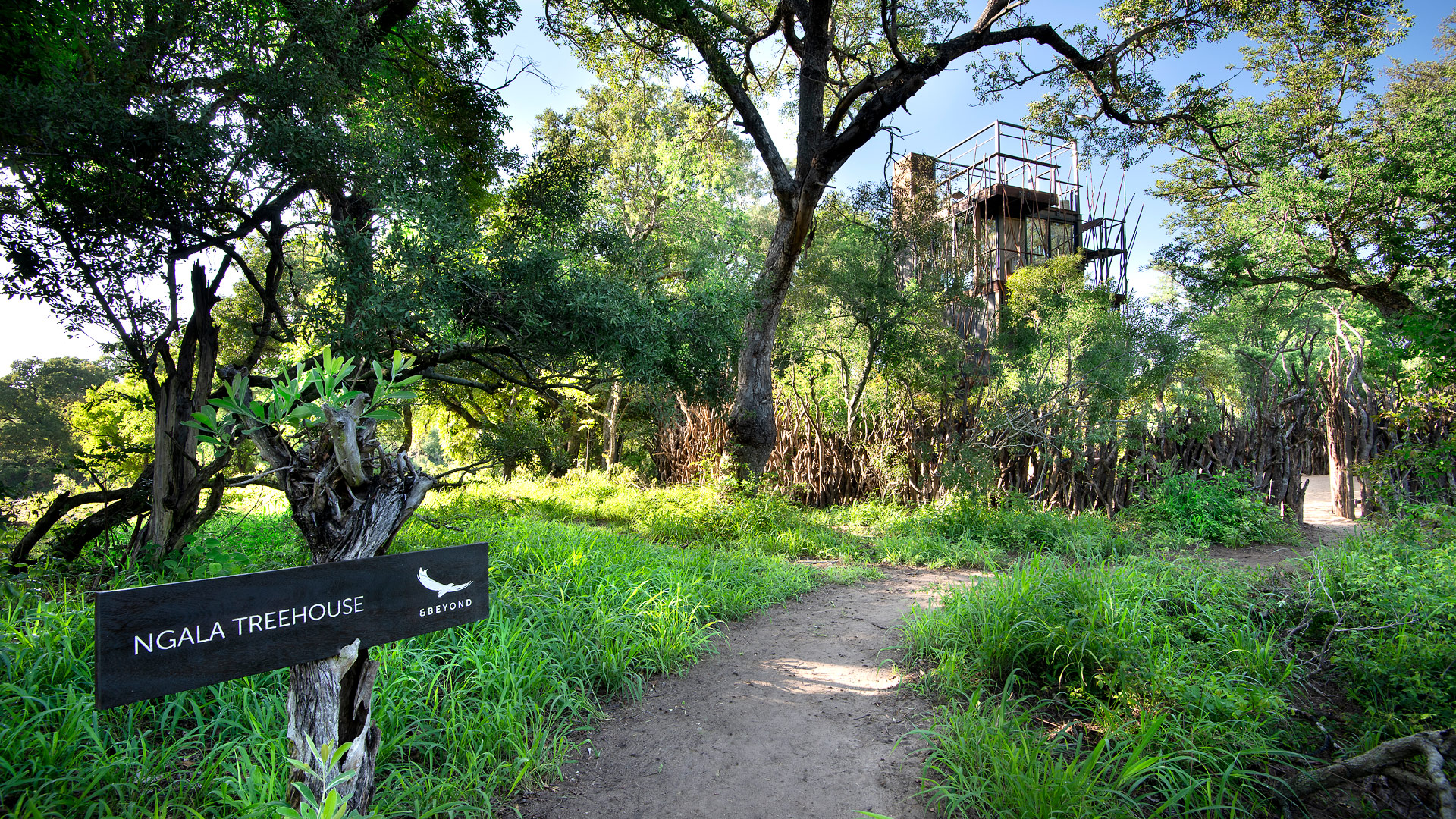 Ngala Tented Camp - ATR