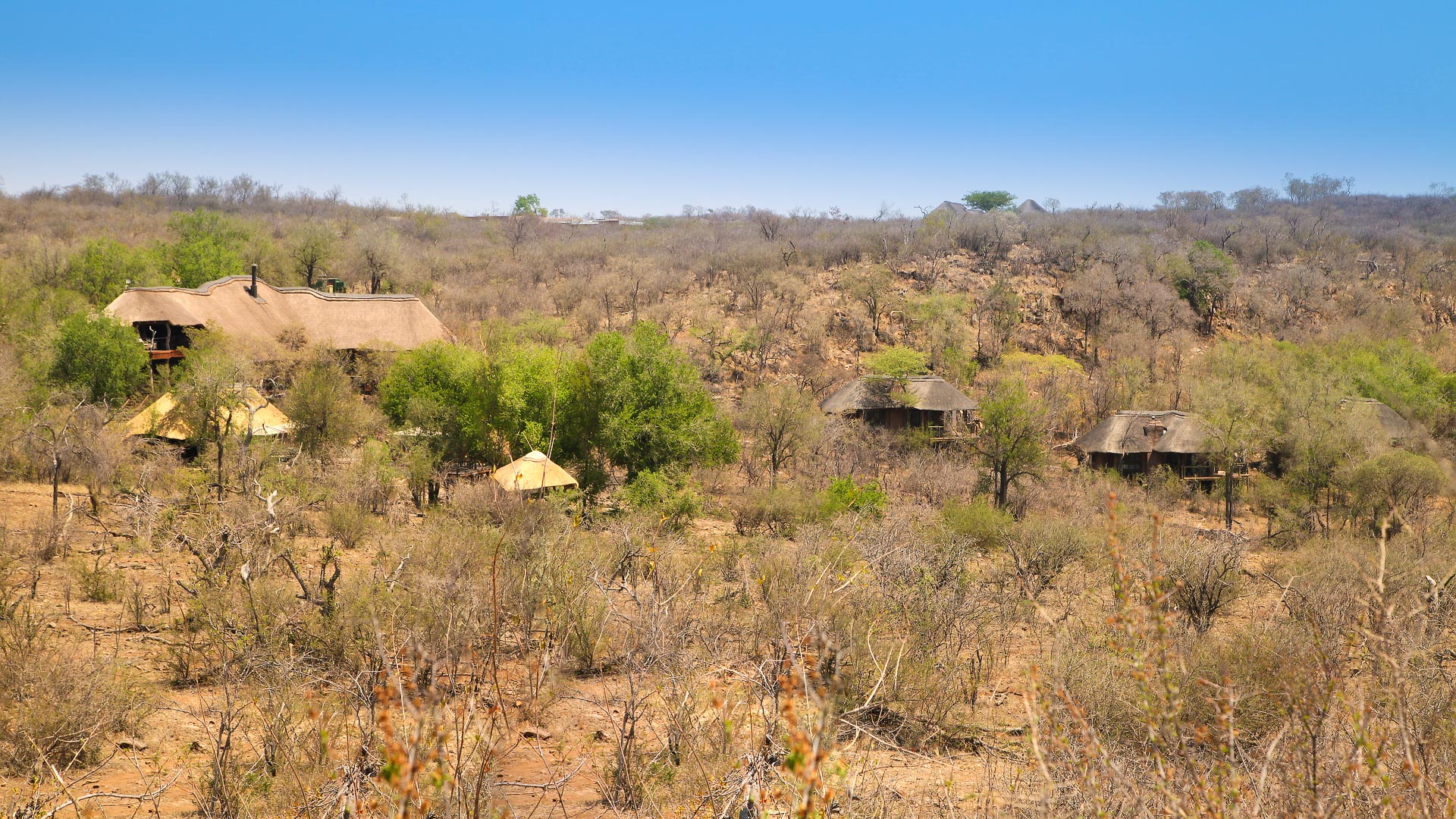 Impodimo Game Lodge – ATR