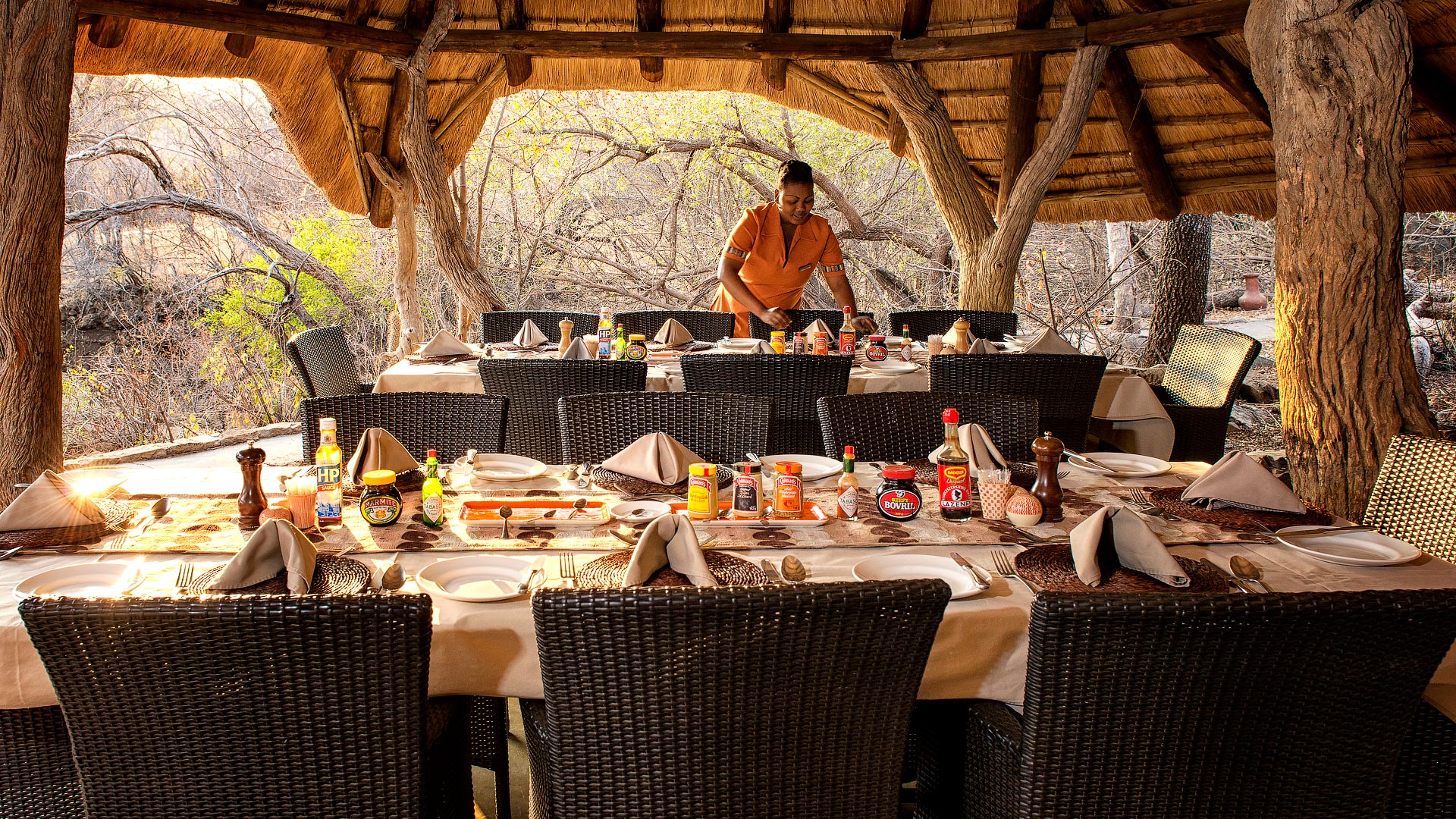 Impodimo Game Lodge – ATR