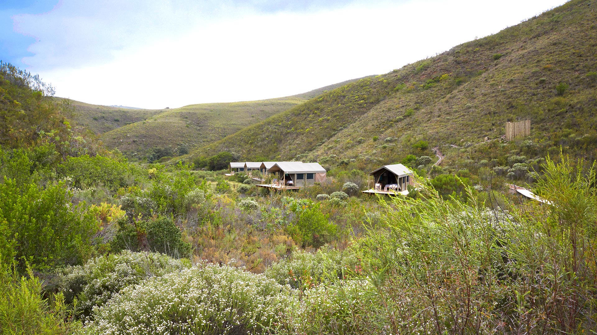 Gondwana Tented Camp - ATR