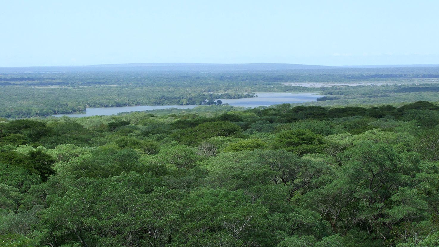 Ndumu River Lodge - ATR