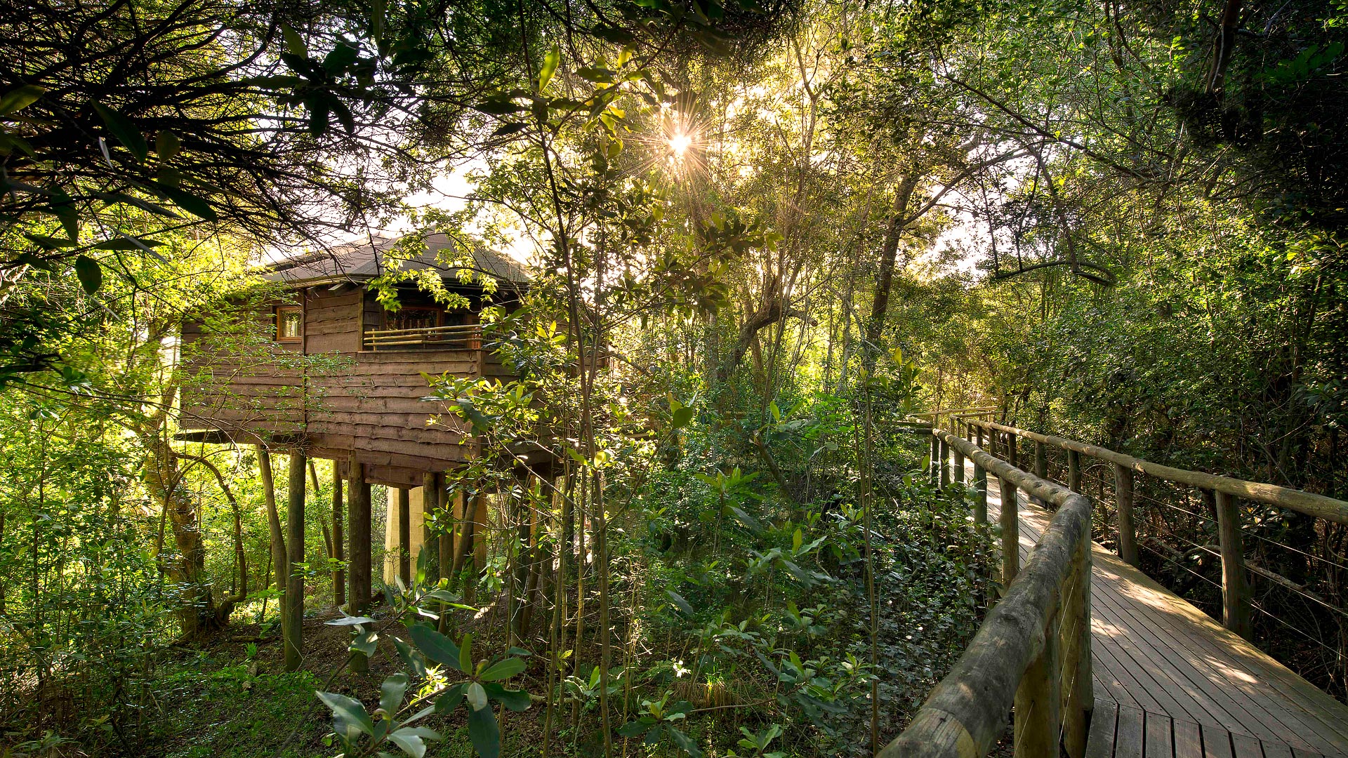 Tsala Treetop Lodge – ATR