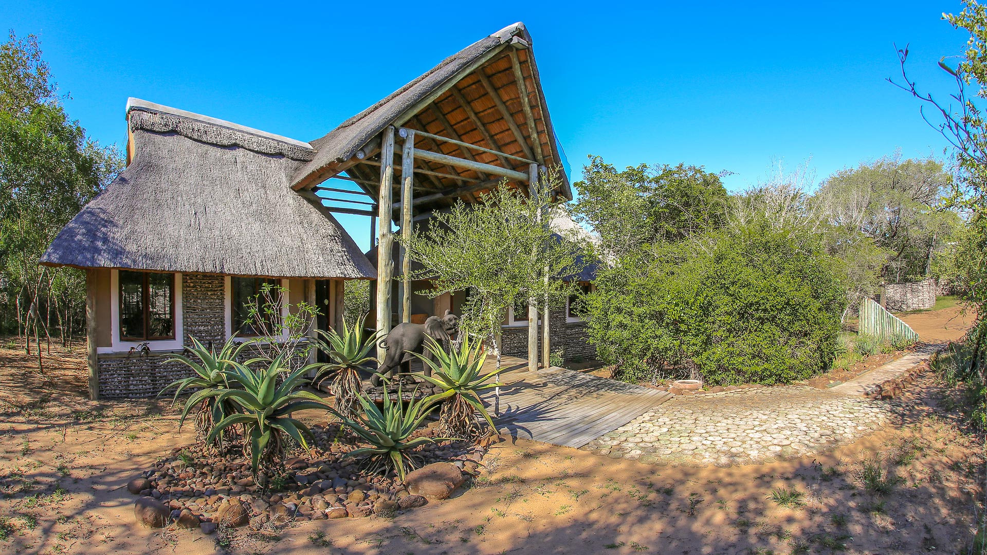 Royal Thonga Lodge - ATR