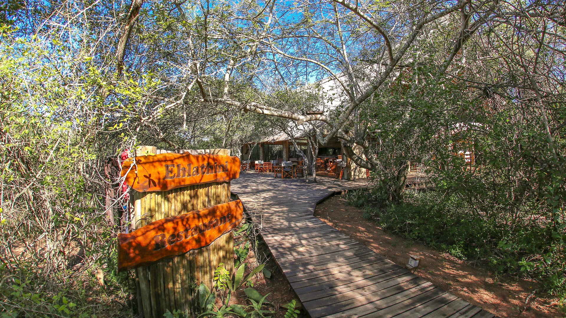 Royal Thonga Lodge - ATR