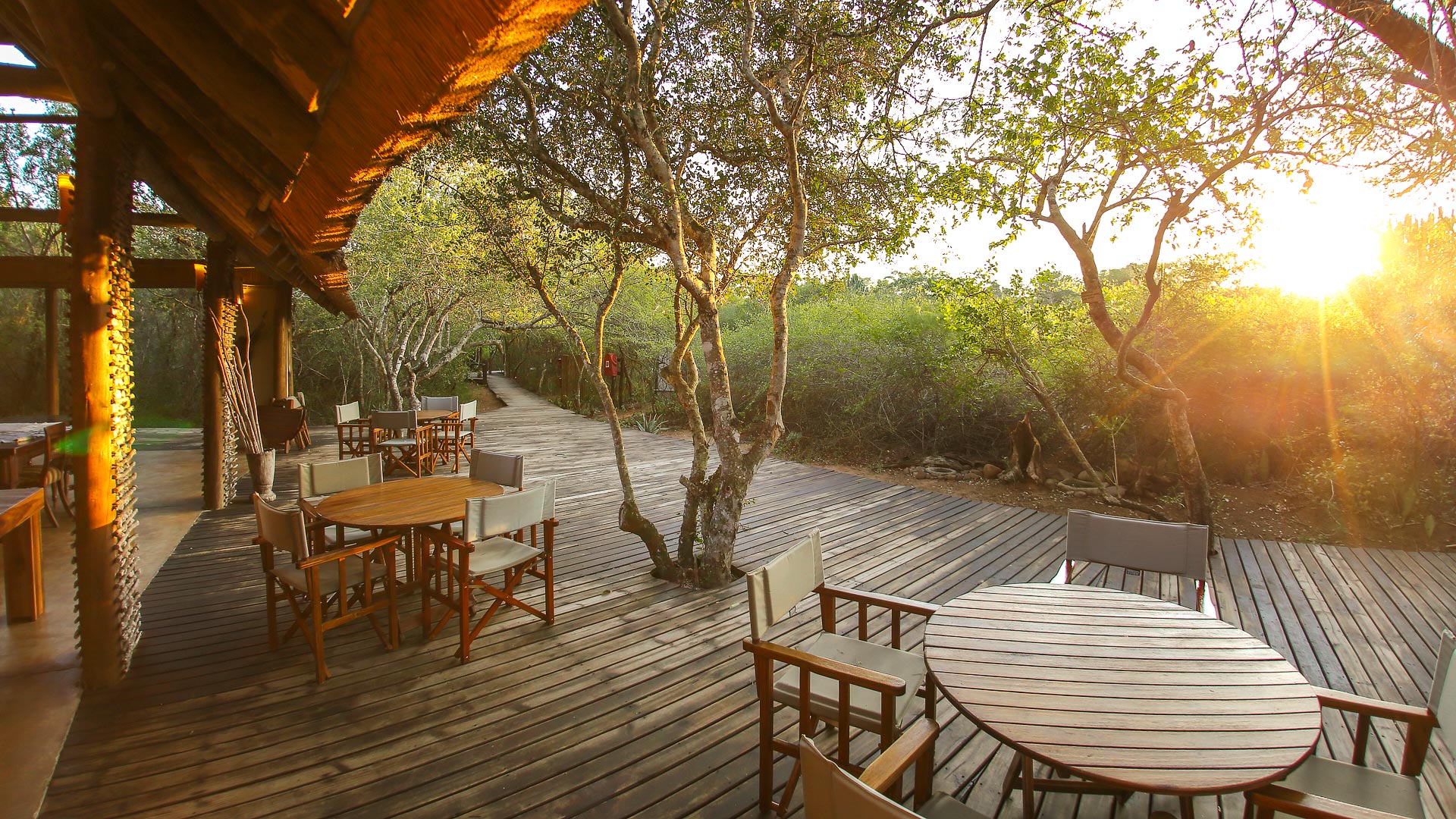 Royal Thonga Lodge - ATR