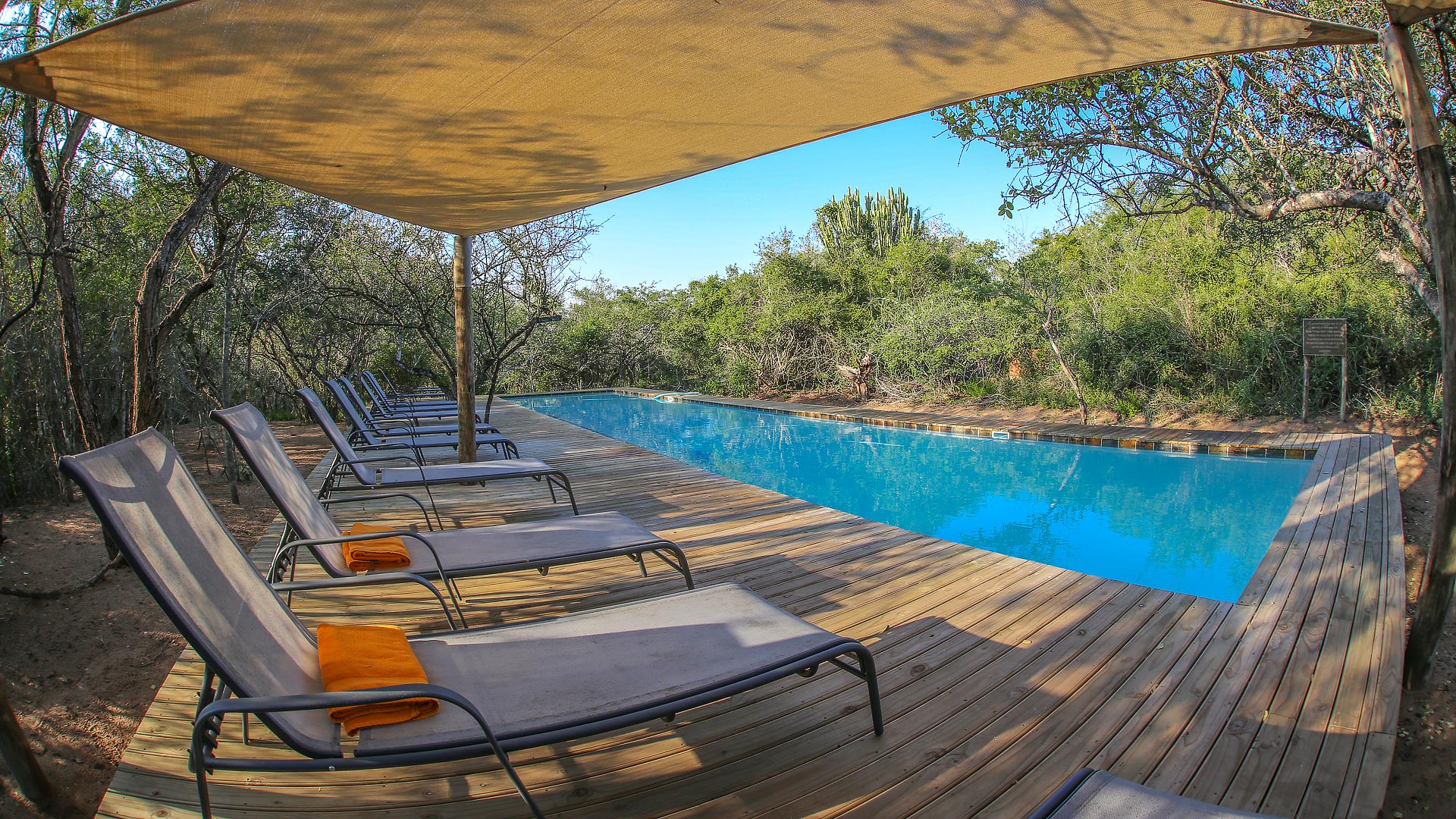 Royal Thonga Lodge - ATR