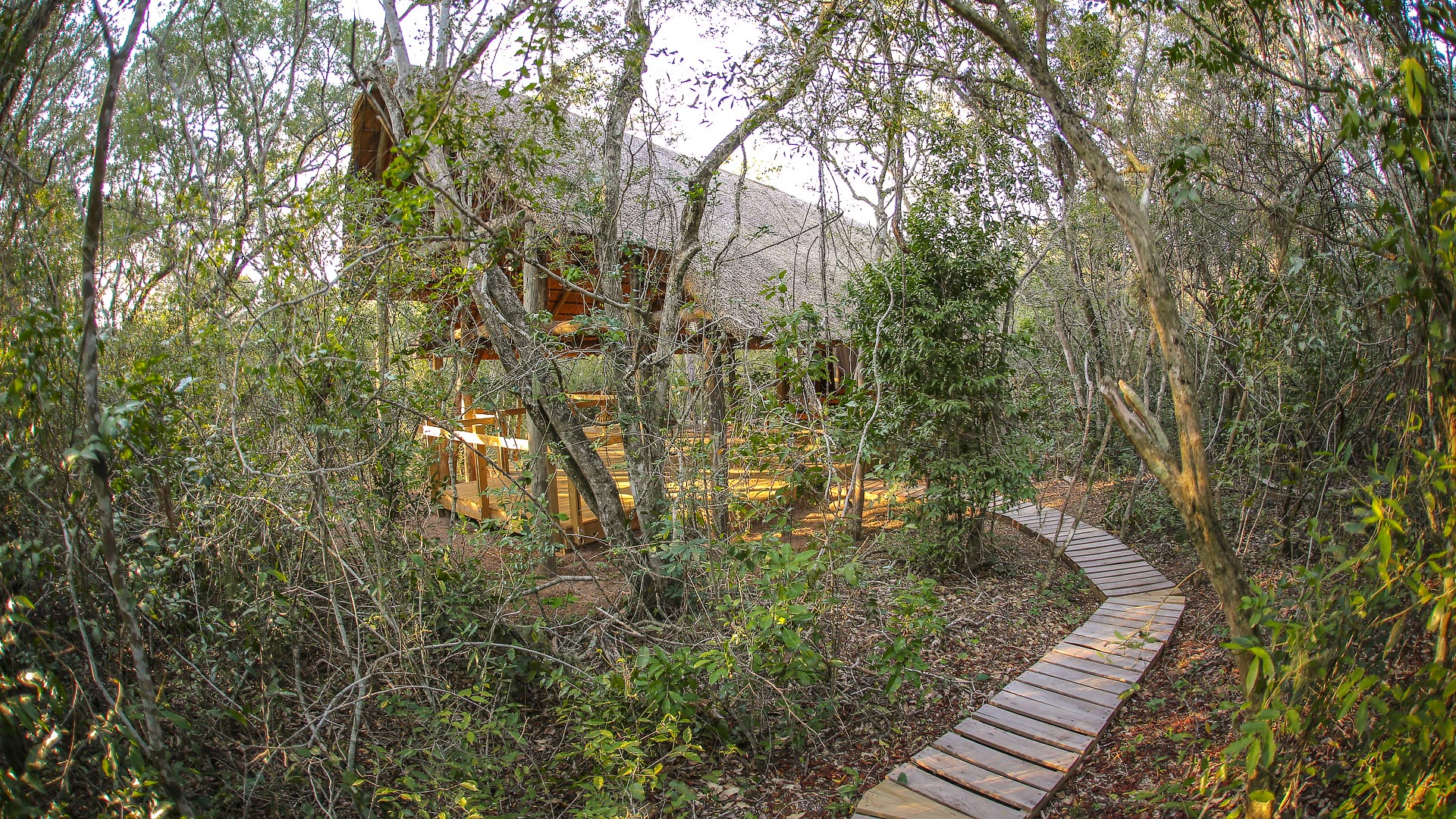 Royal Thonga Lodge - ATR