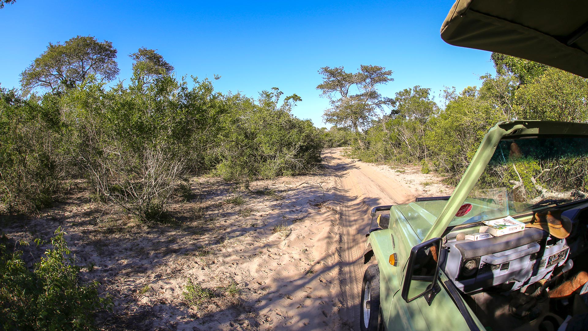 Royal Thonga Lodge - ATR