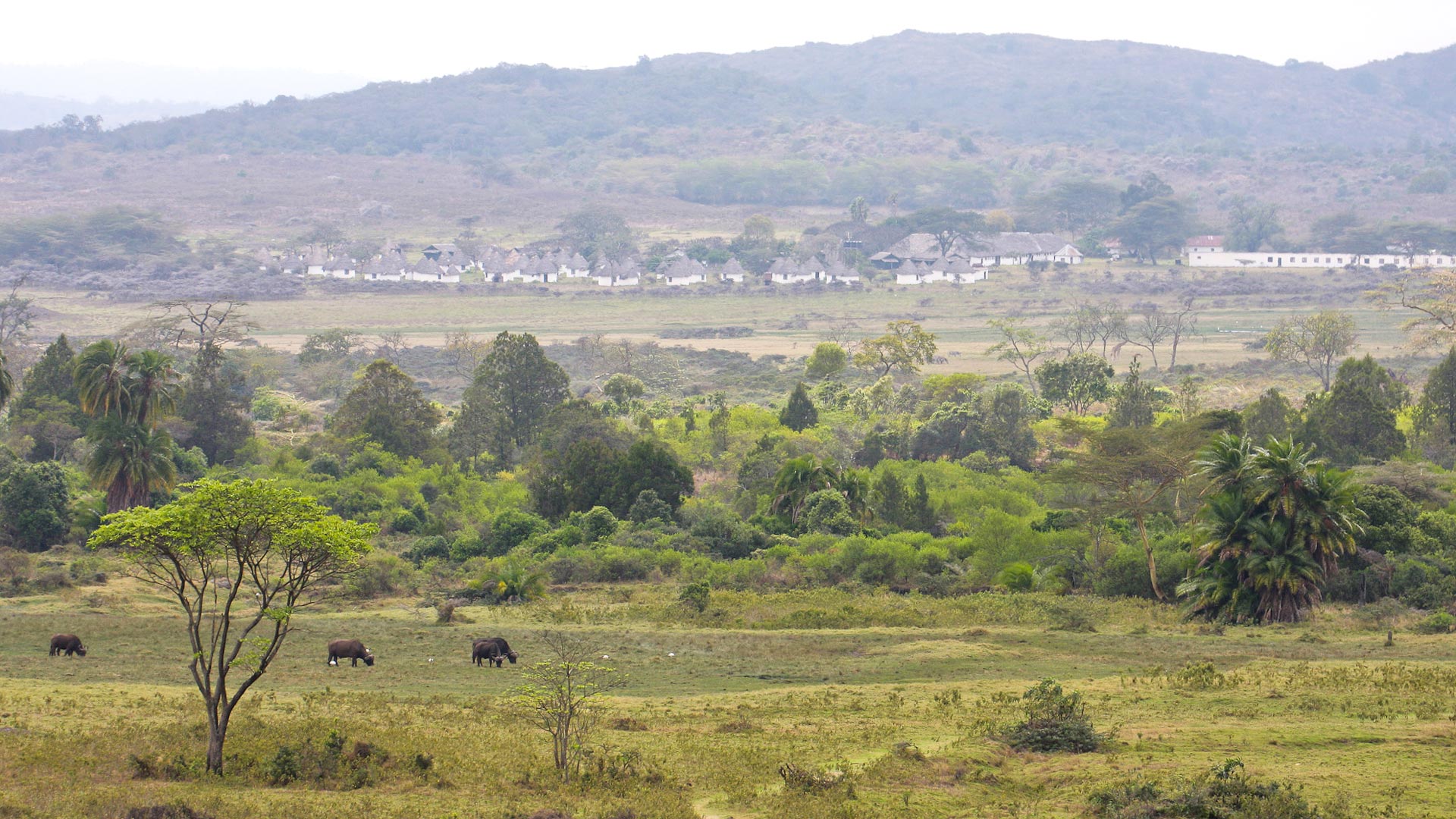 Momella Lodge - ATR