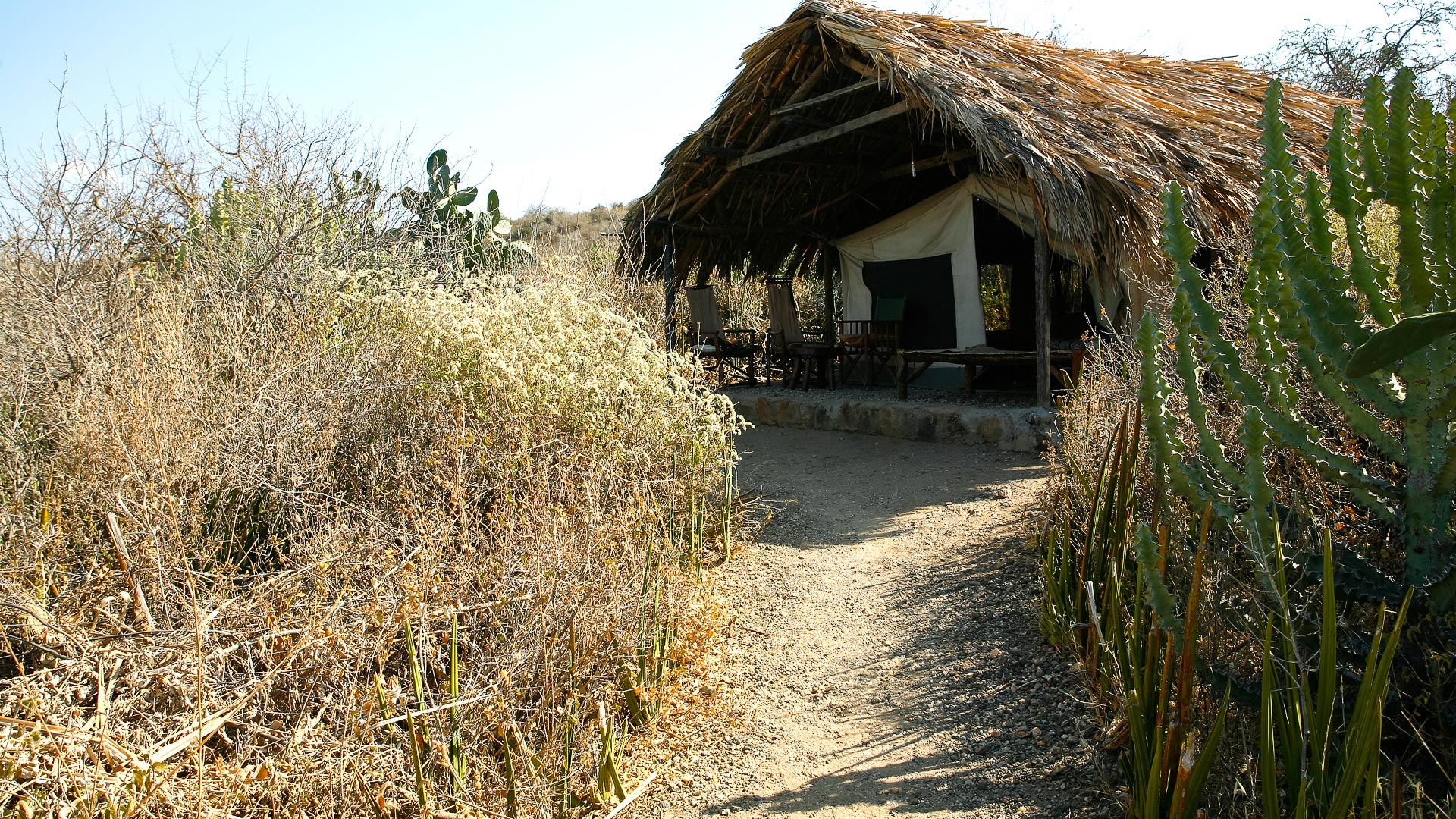Tindiga Camp - ATR