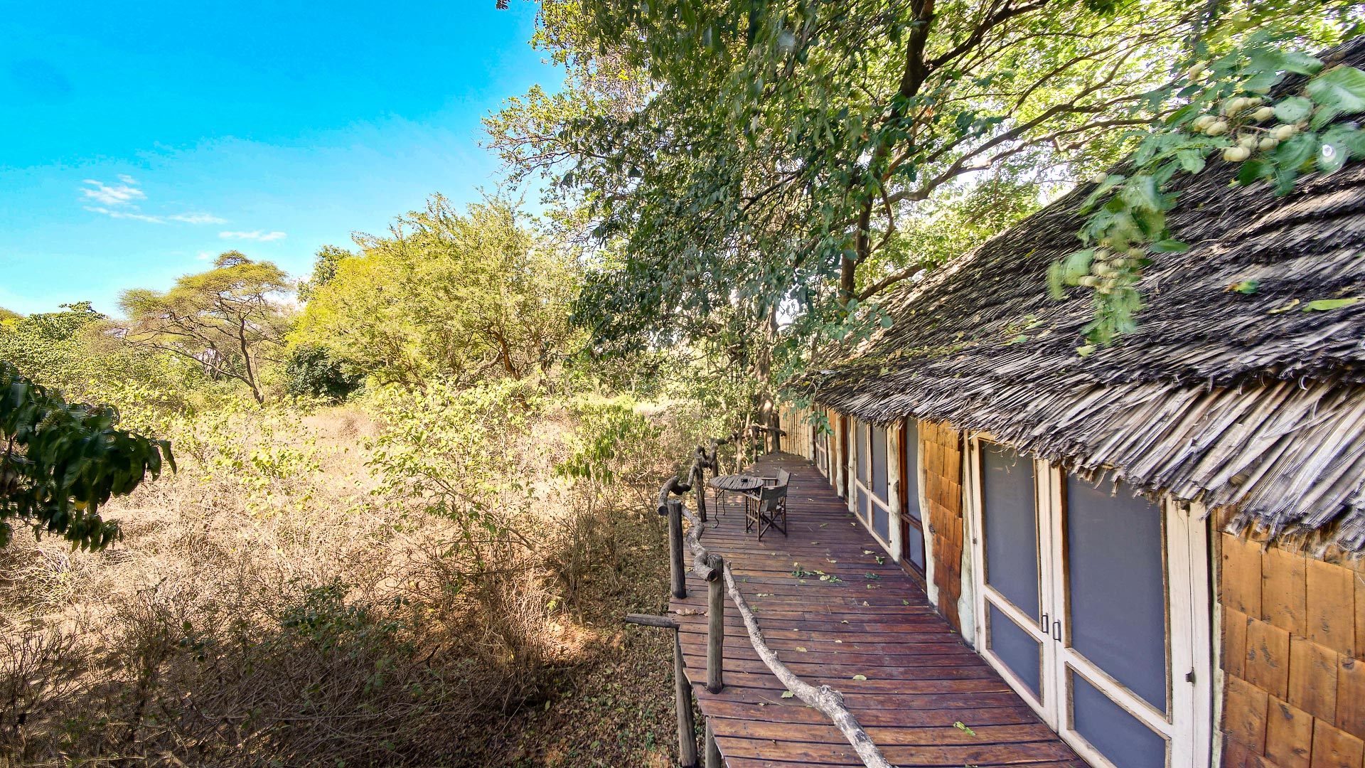 Manyara Tree Lodge – ATR