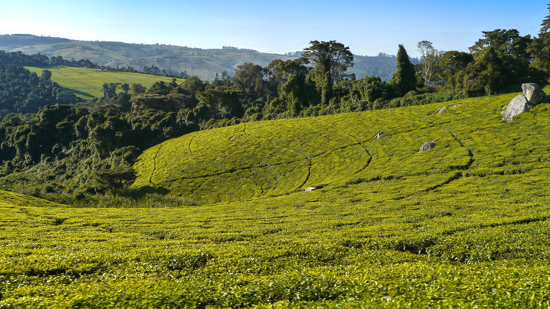 Travel to Mufindi - ATR