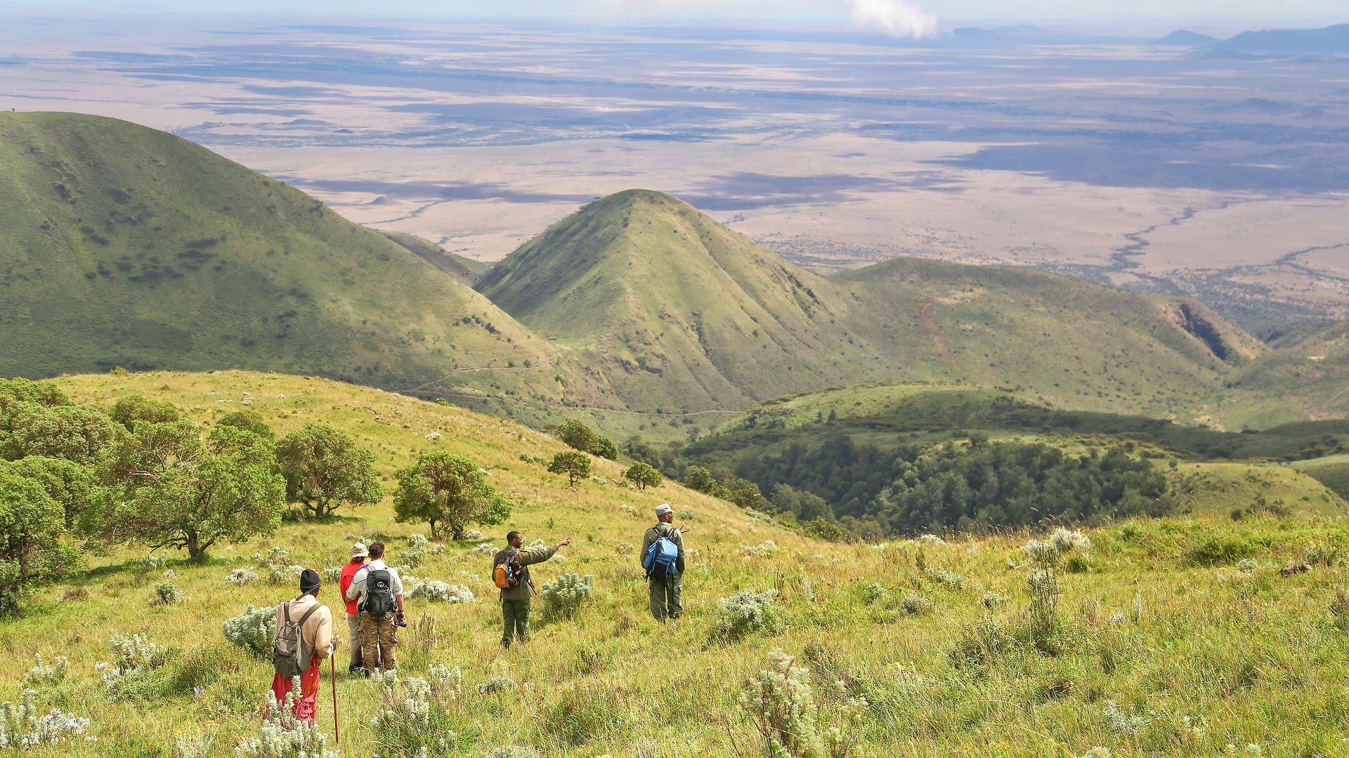 Safari in Ngorongoro - ATR