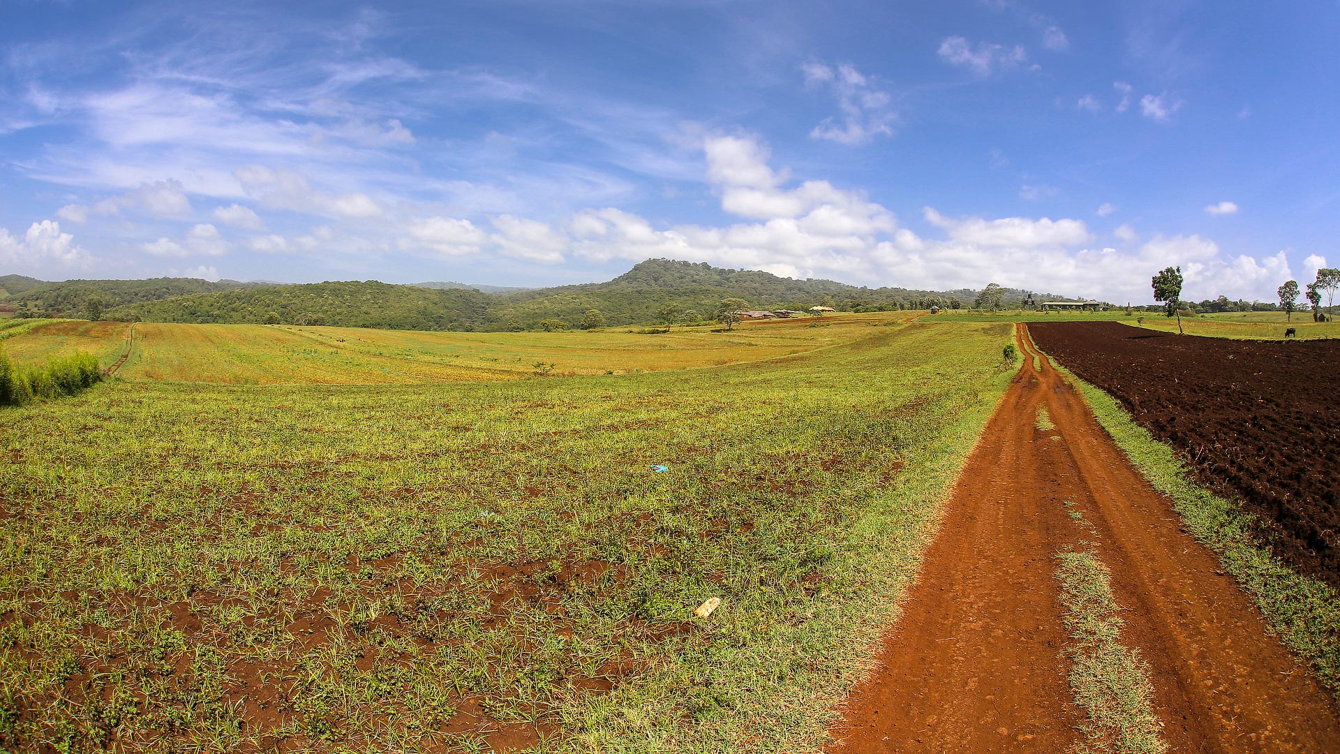 Karatu Simba Lodge – ATR