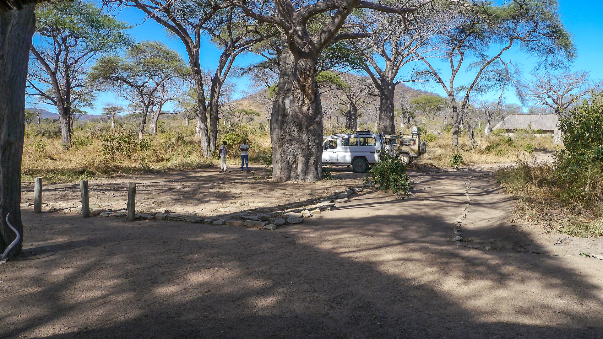 Tandala Tented Camp - ATR