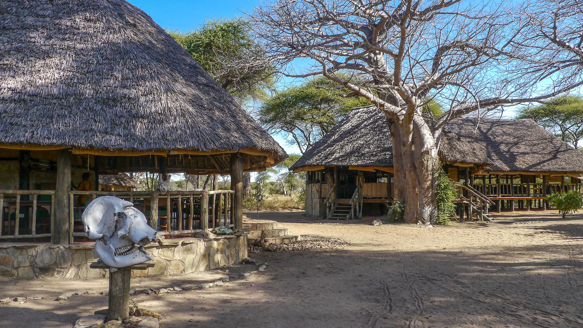 Tandala Tented Camp - ATR