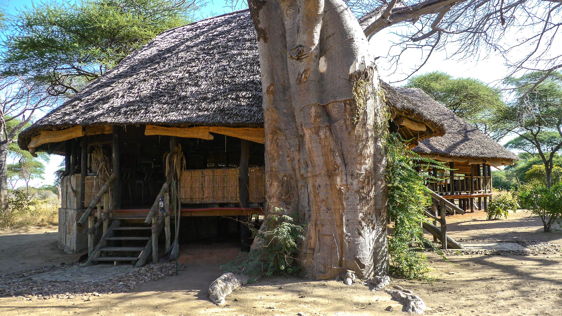 Tandala Tented Camp - ATR
