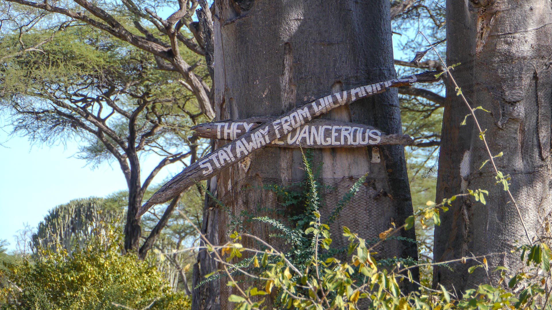 Tandala Tented Camp - ATR