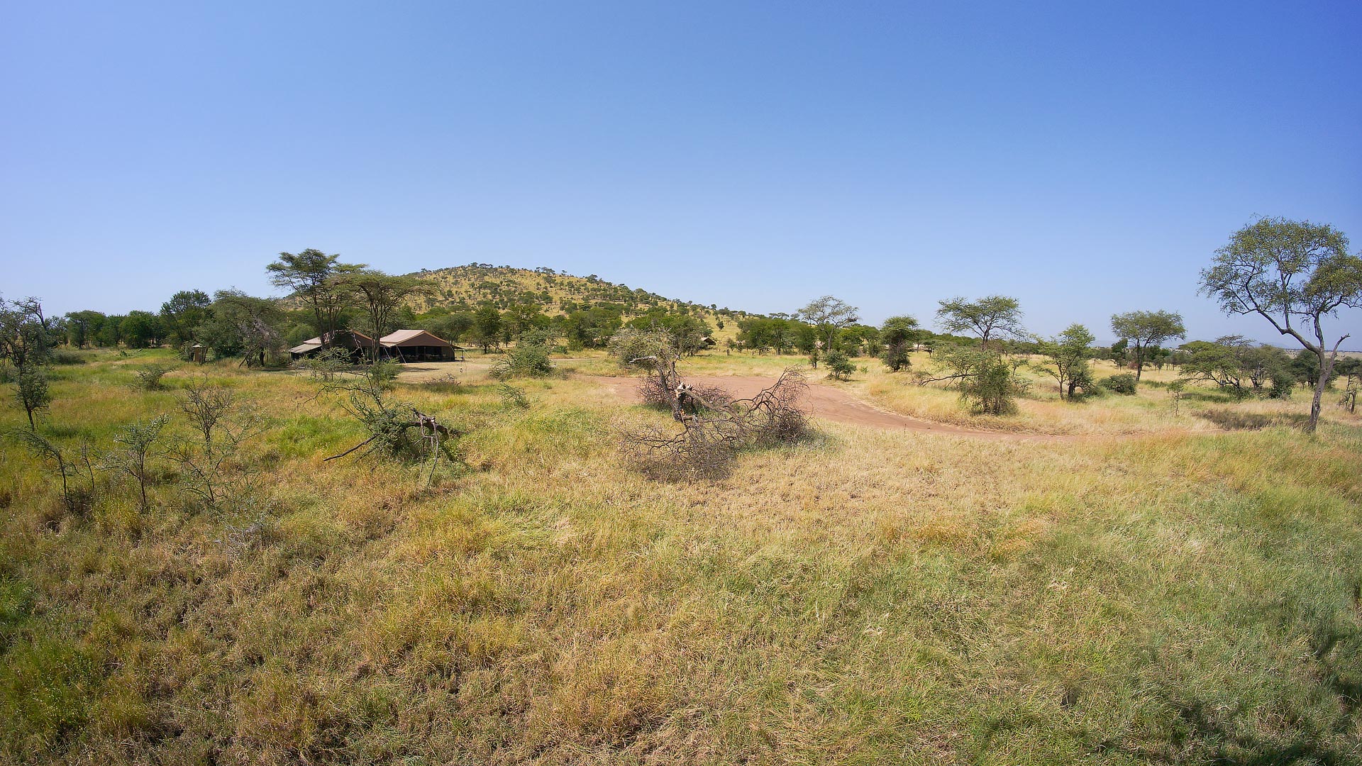 Kati Kati Tented Camp - ATR