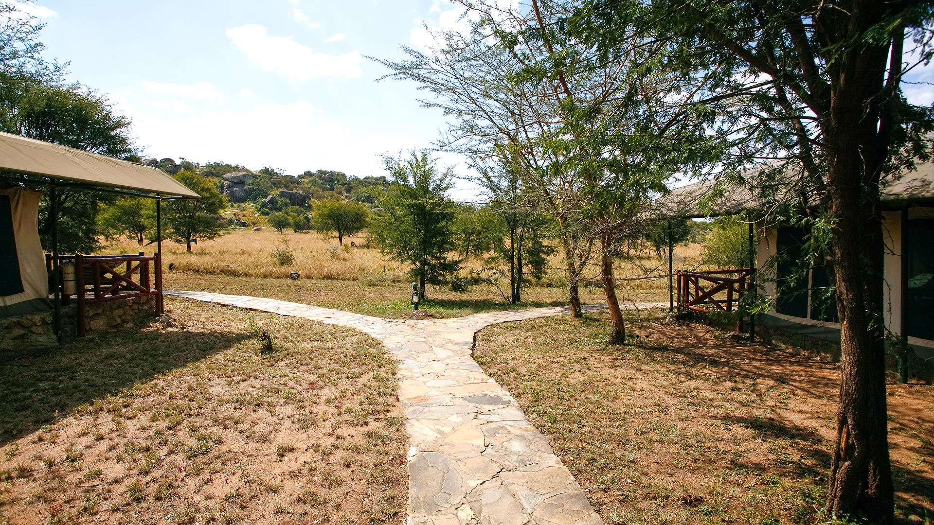 Mbuzi Mawe Camp - ATR