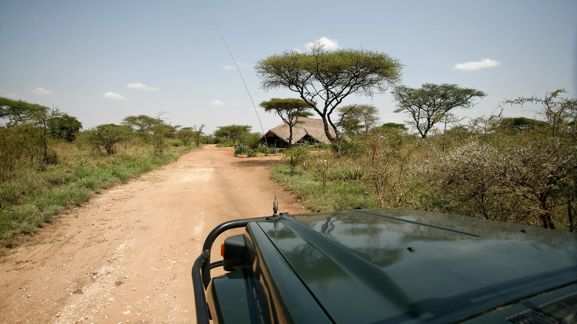 Ikoma Tented Camp - ATR