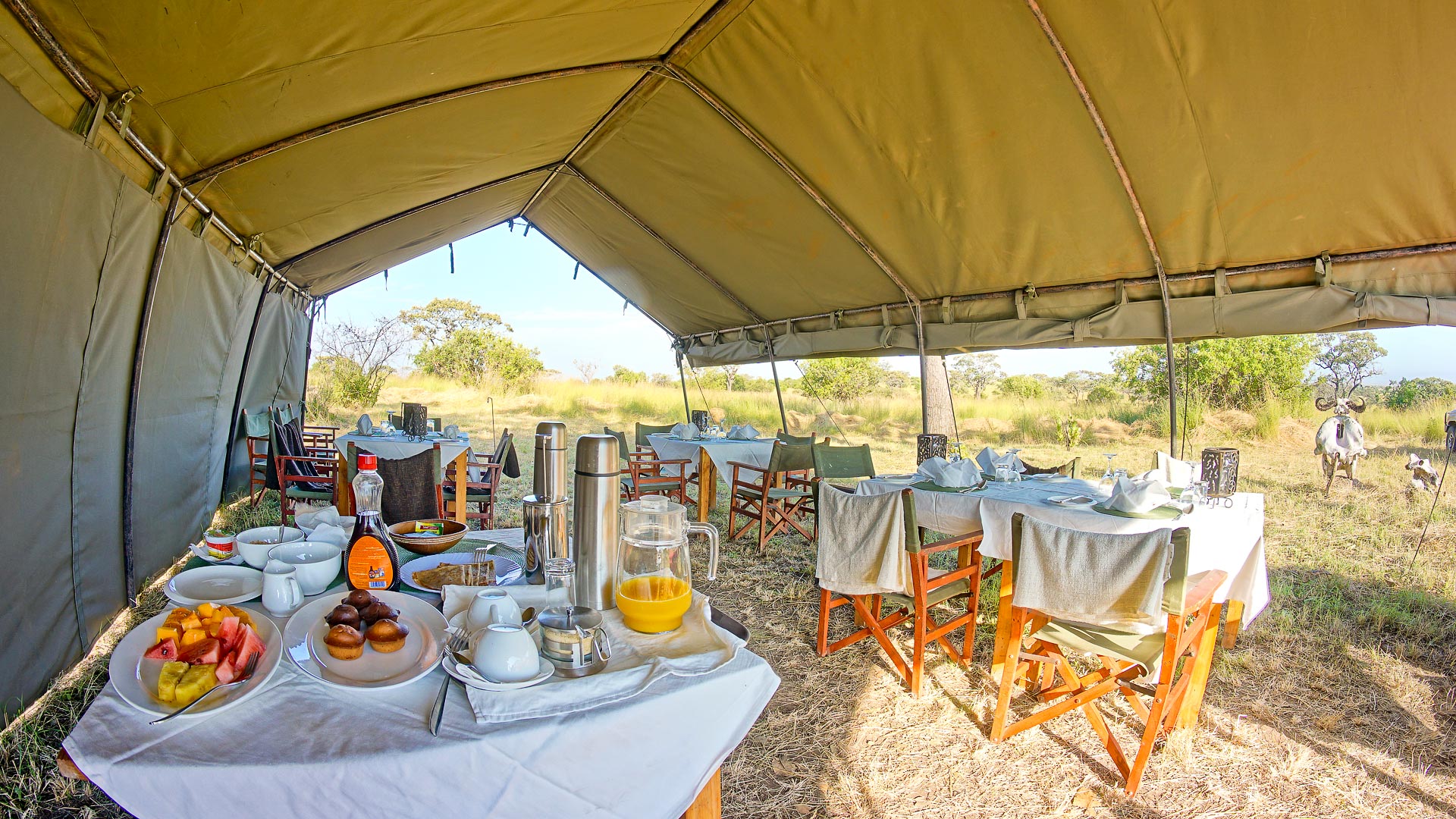 Kimburu Camp - ATR