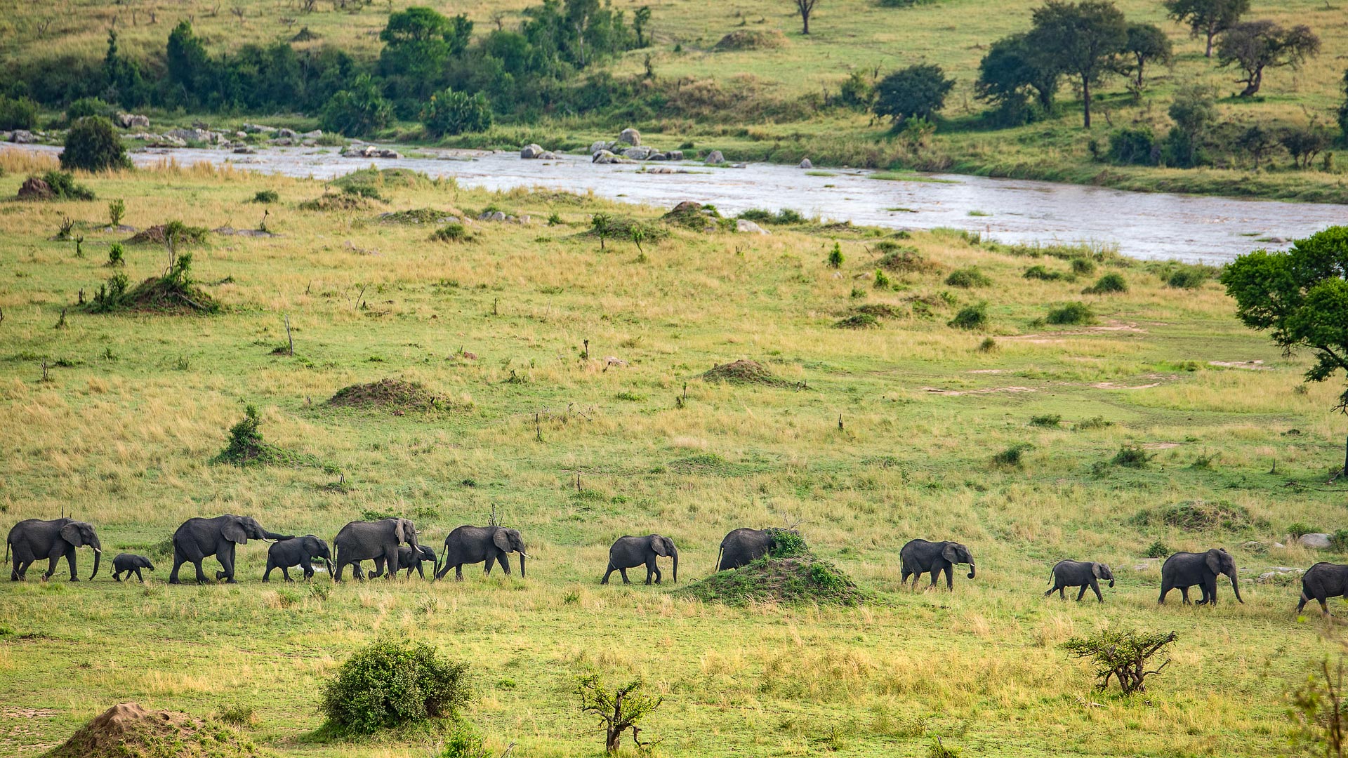 Mara River Post - ATR