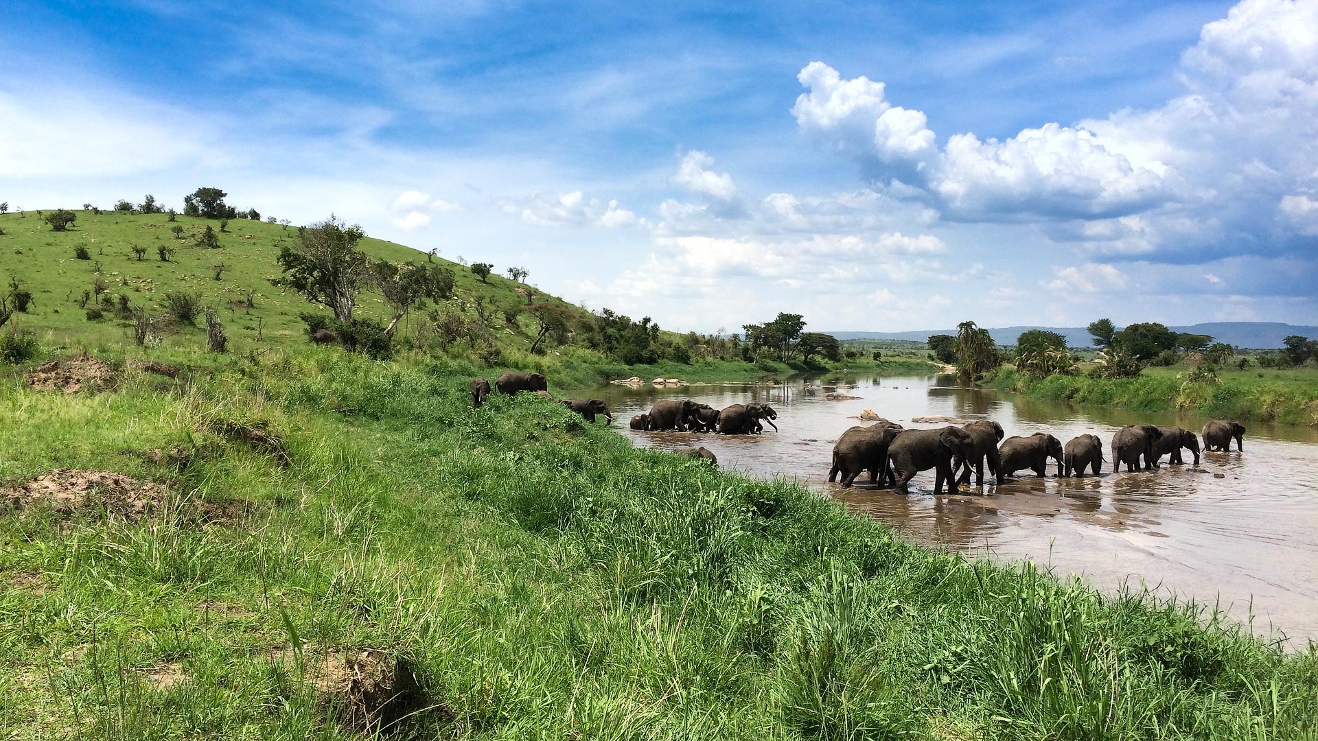 Mara River Post - ATR