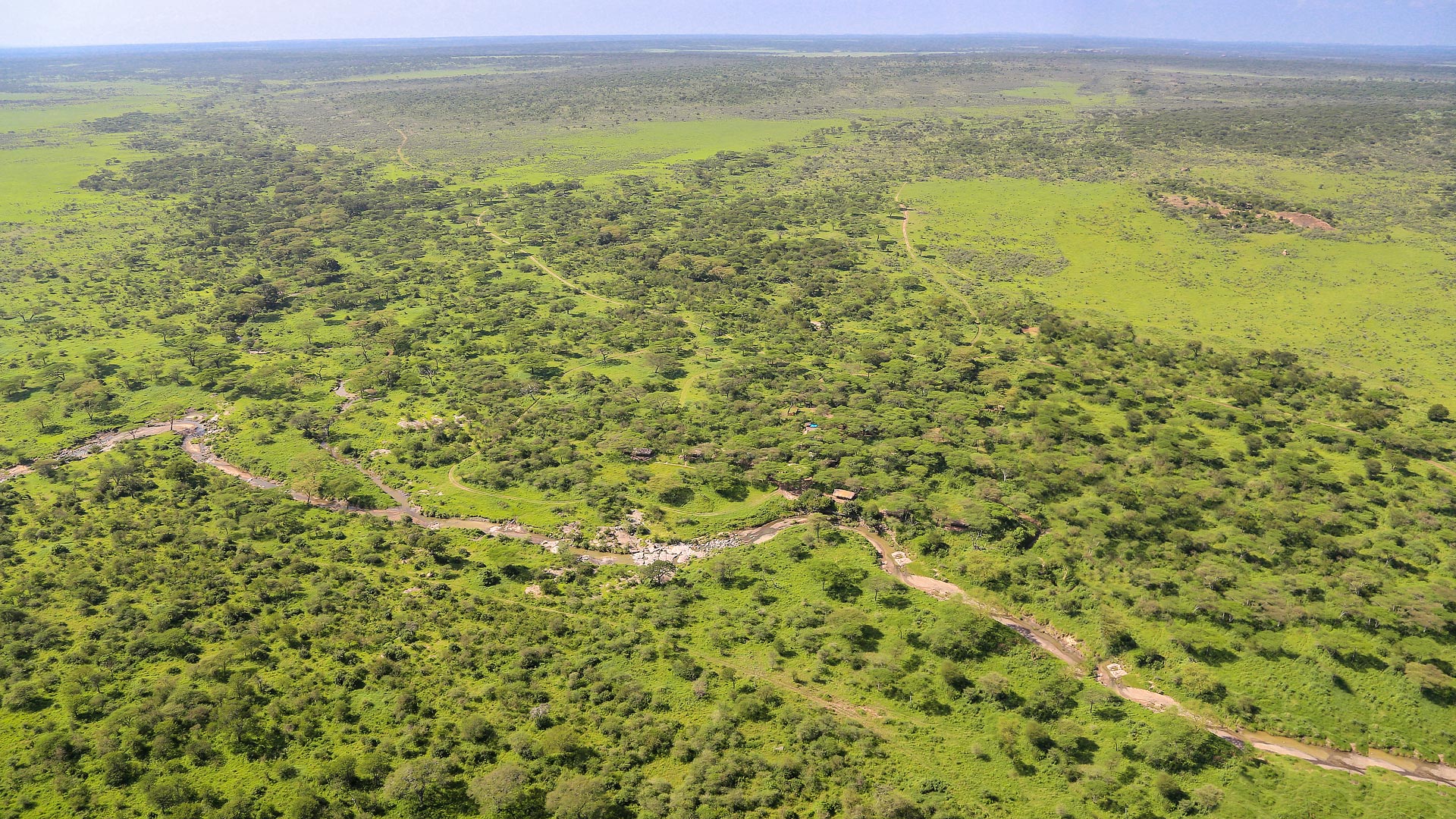 Legendary Mbono Camp - ATR