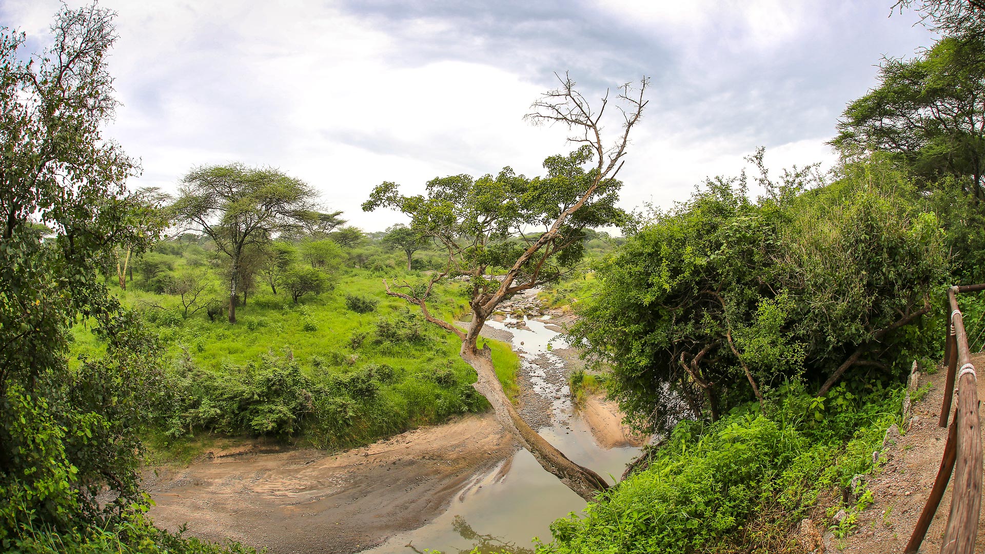 Legendary Mbono Camp - ATR