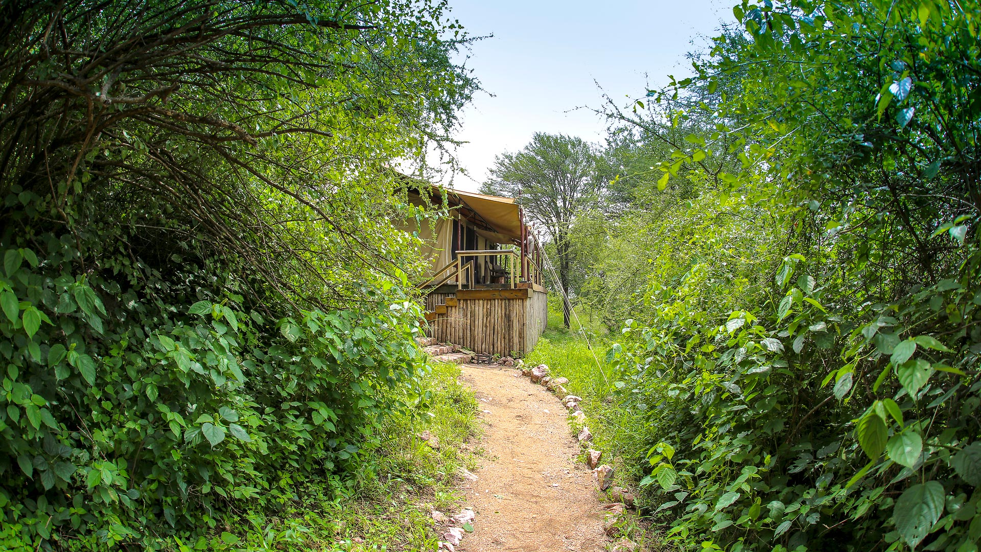 Legendary Subeti Camp - ATR