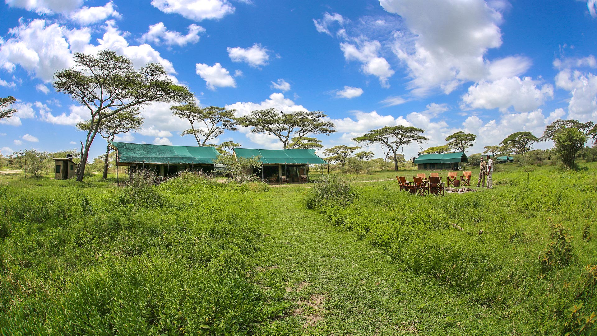Nyikani Migration Camp Ndutu - ATR