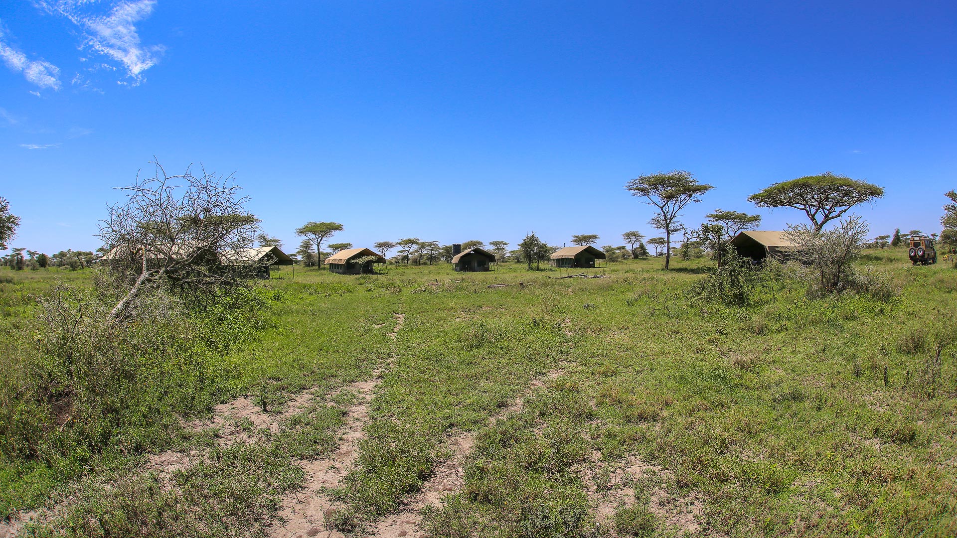 Olaado Ndutu Camp - ATR