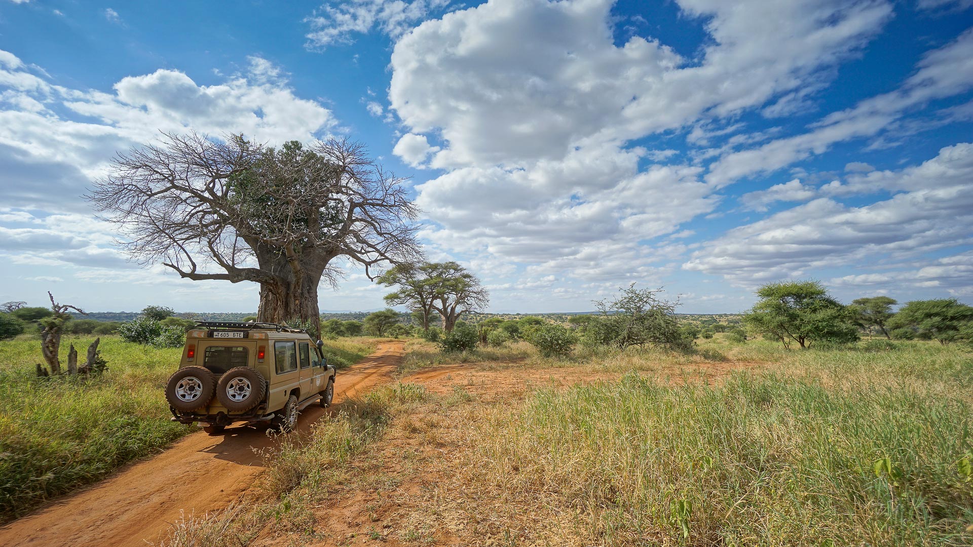 Lemala Mpingo Ridge – ATR