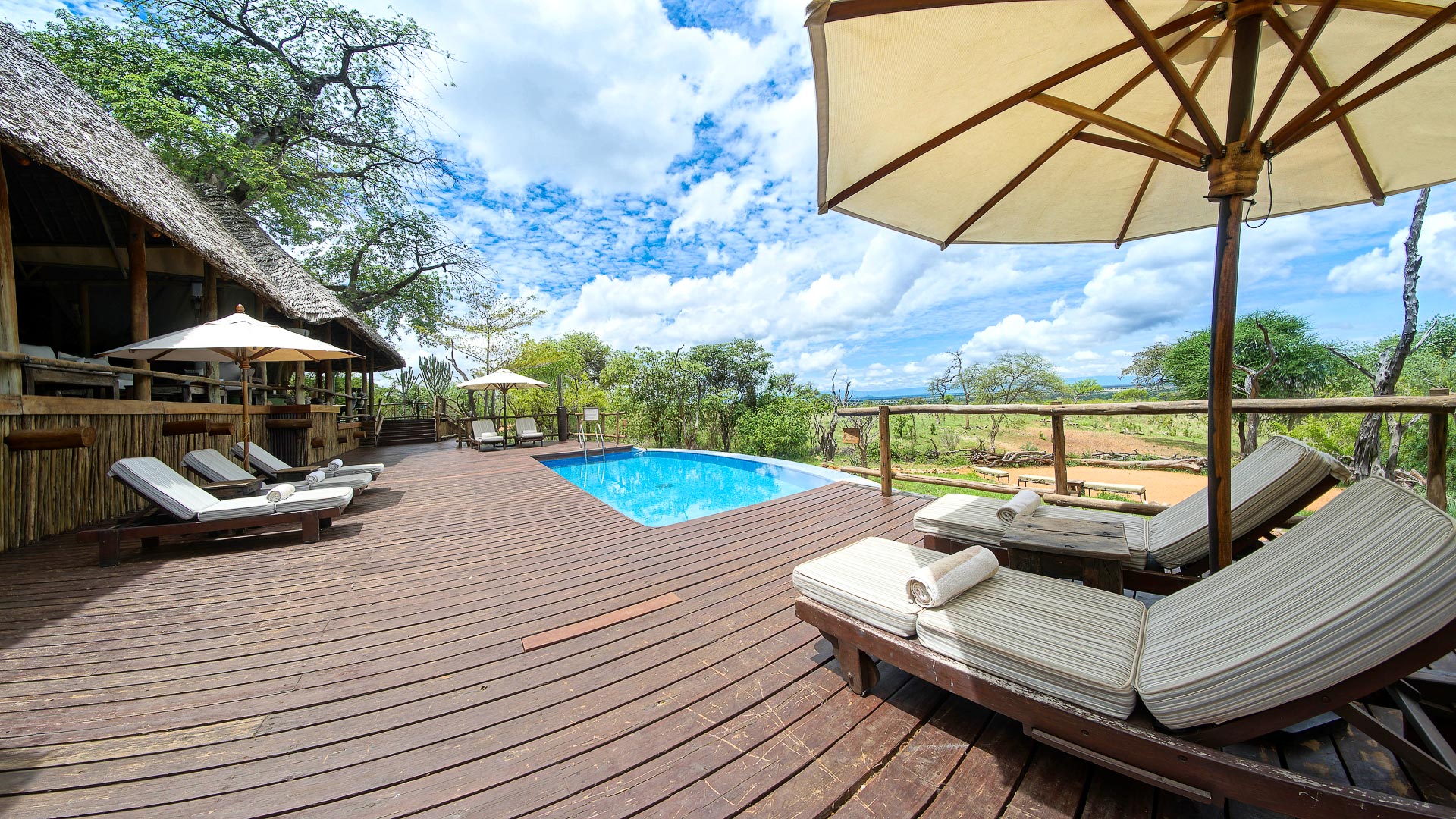 Tarangire Treetops - ATR